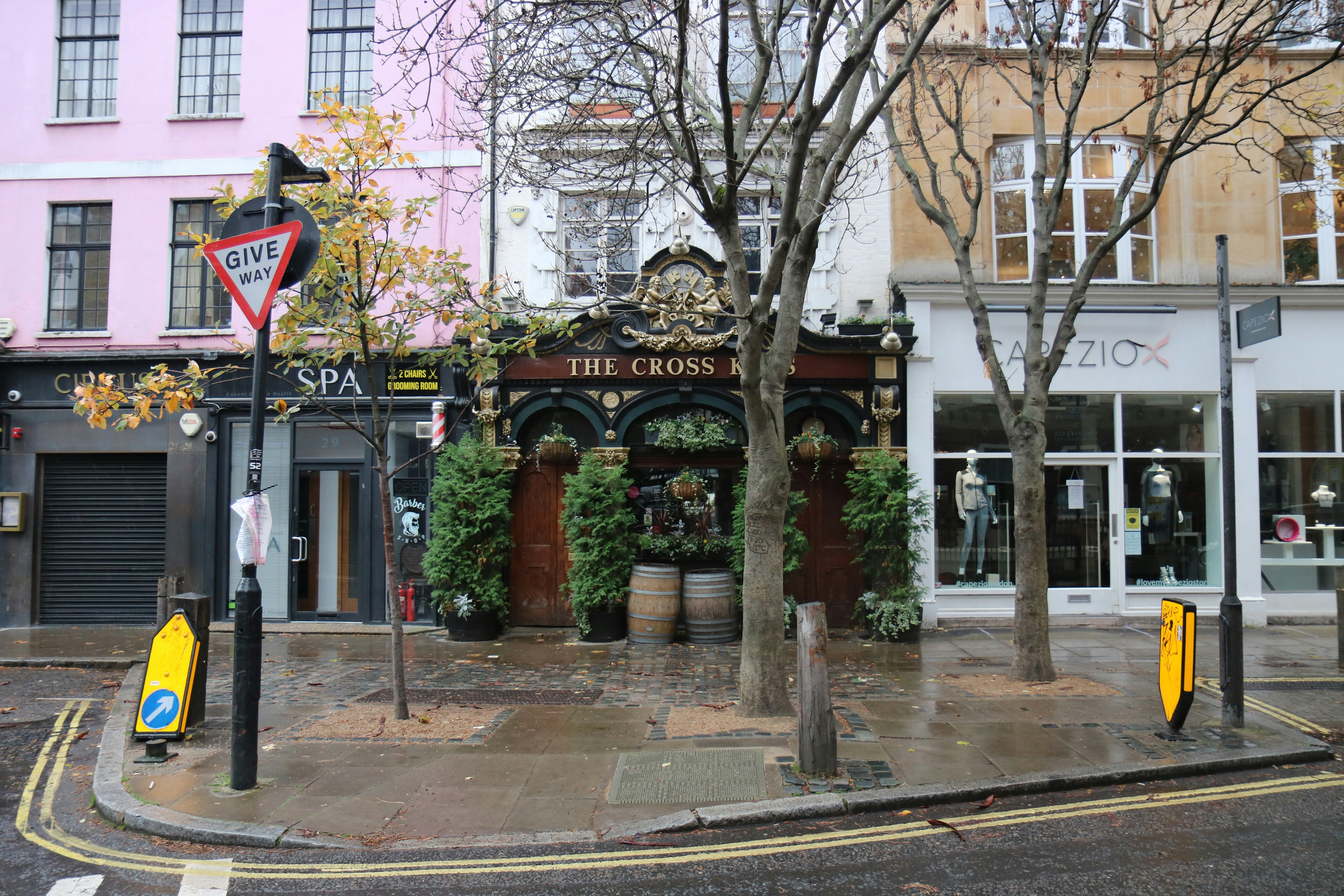 Hidden Garden Café Between Old Town Facades