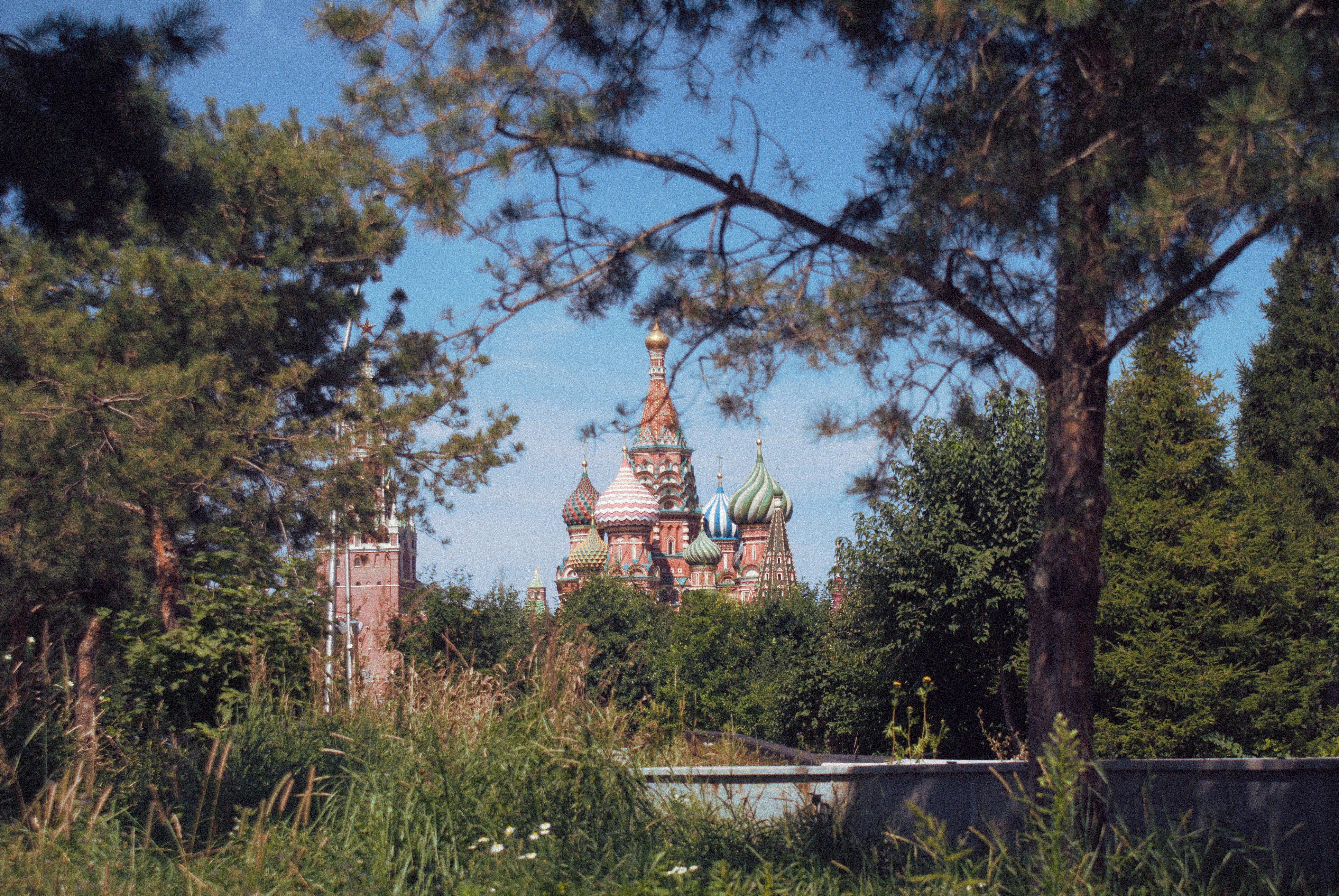 Hidden Citadel: Colorful Domes Peering Through a Forest Frame
