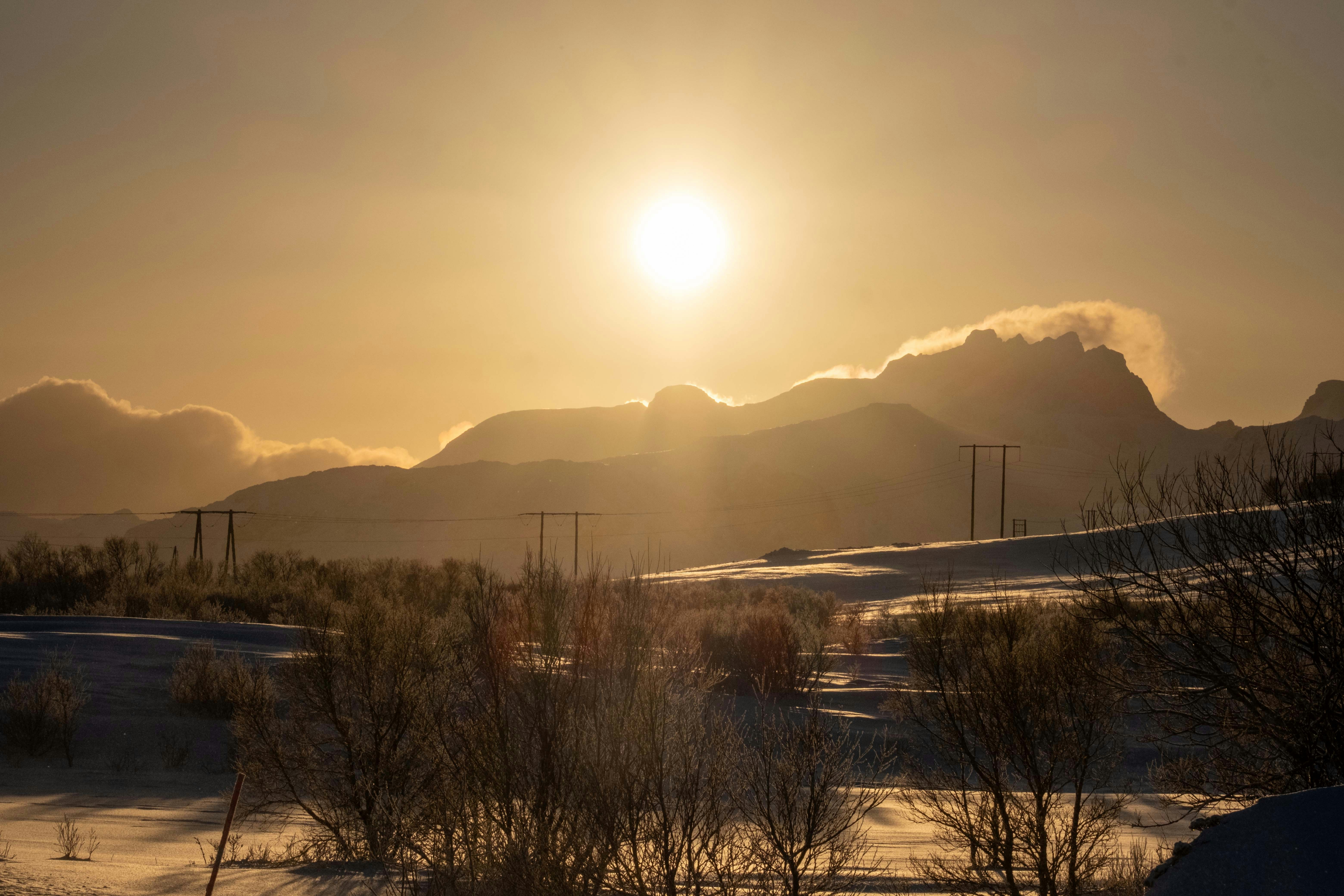 Desert Dawn: Low Sun Over Snow-Kissed Dunes and Scrub