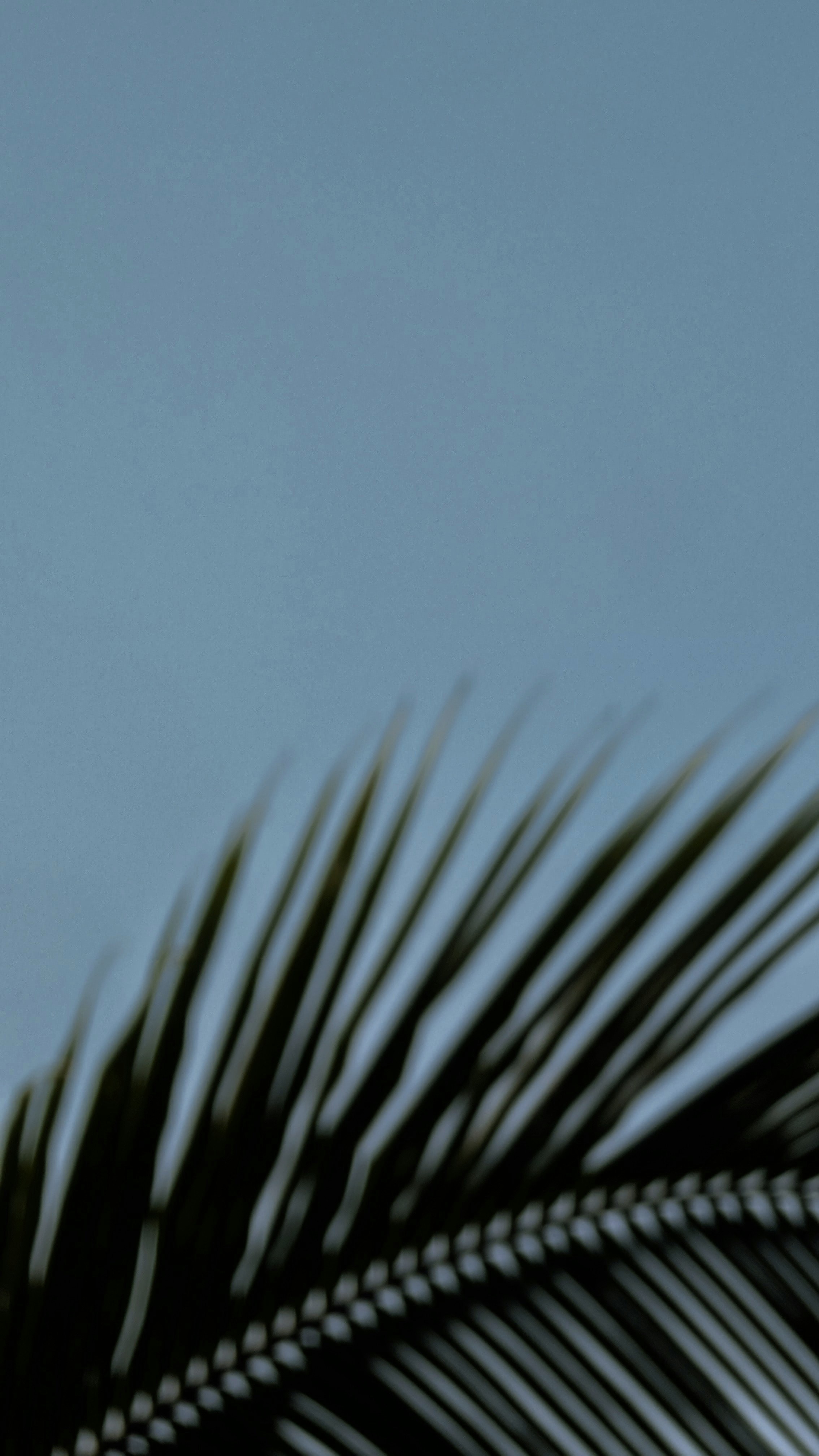 Sample photo from Google Pixel 8 Pro