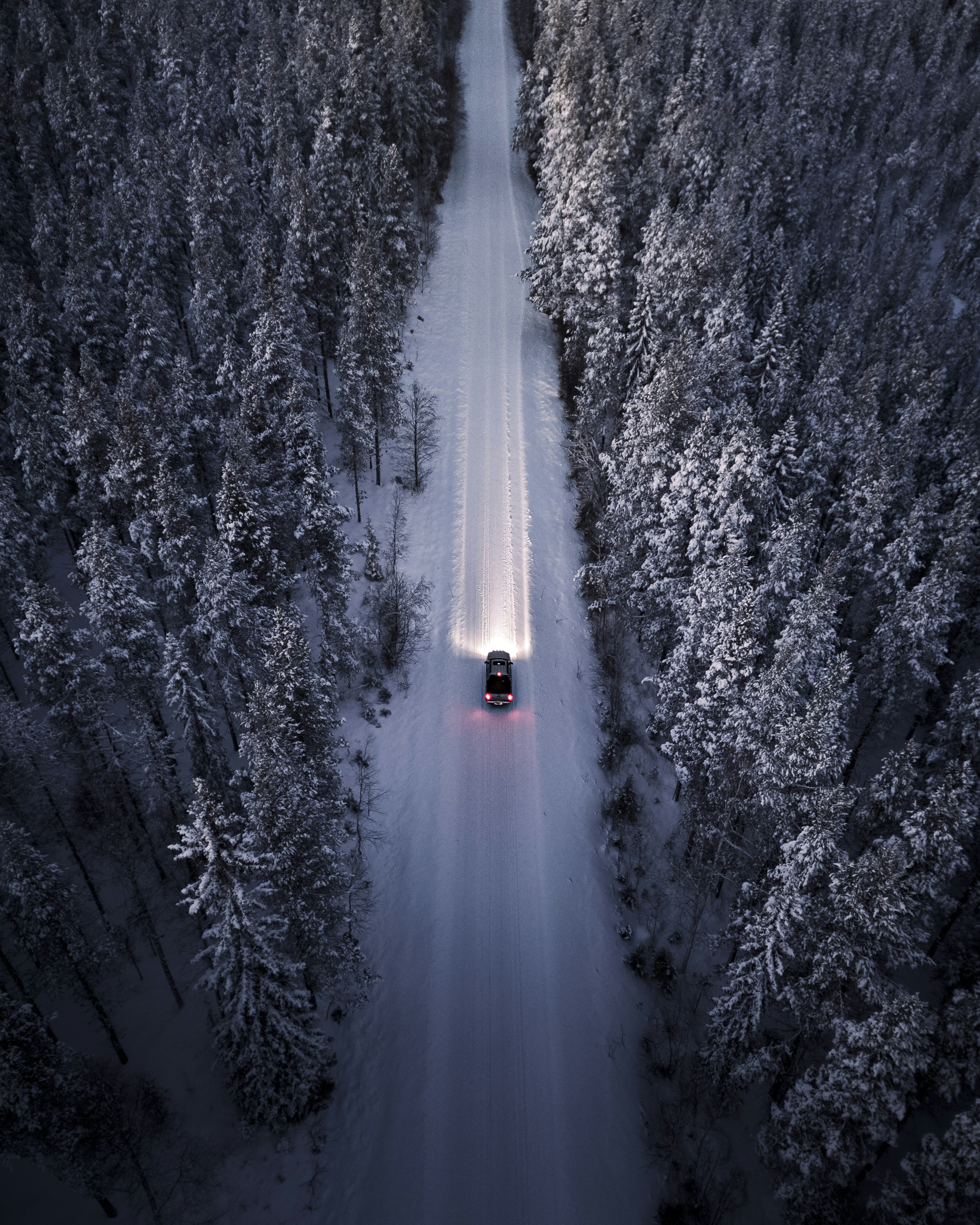 A car travels along a snow-covered forest road surrounded by frosted trees, its headlights casting a warm glow in the twilight.
