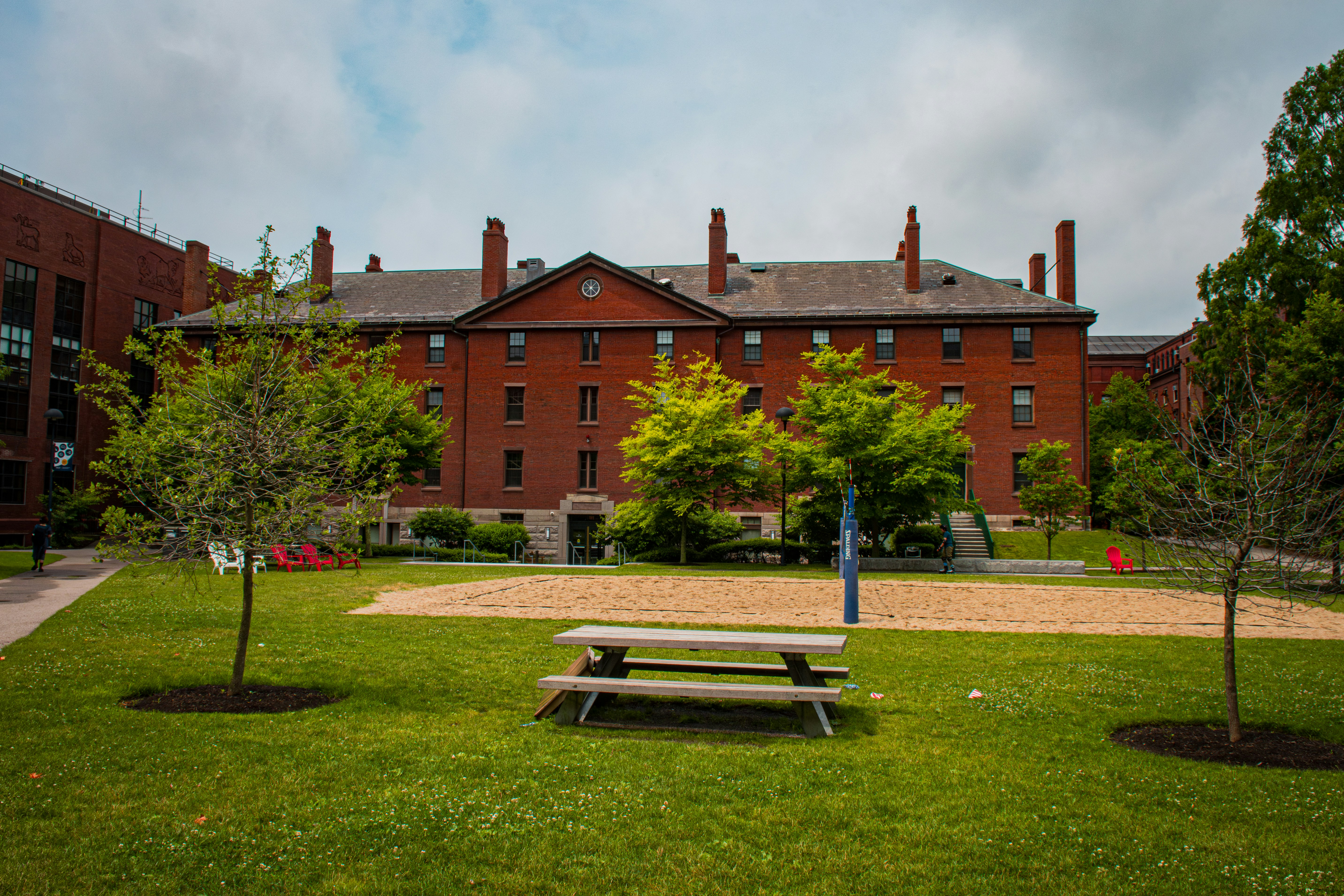 A bench in a grassy area in front of a building photo – Free Harvard ...