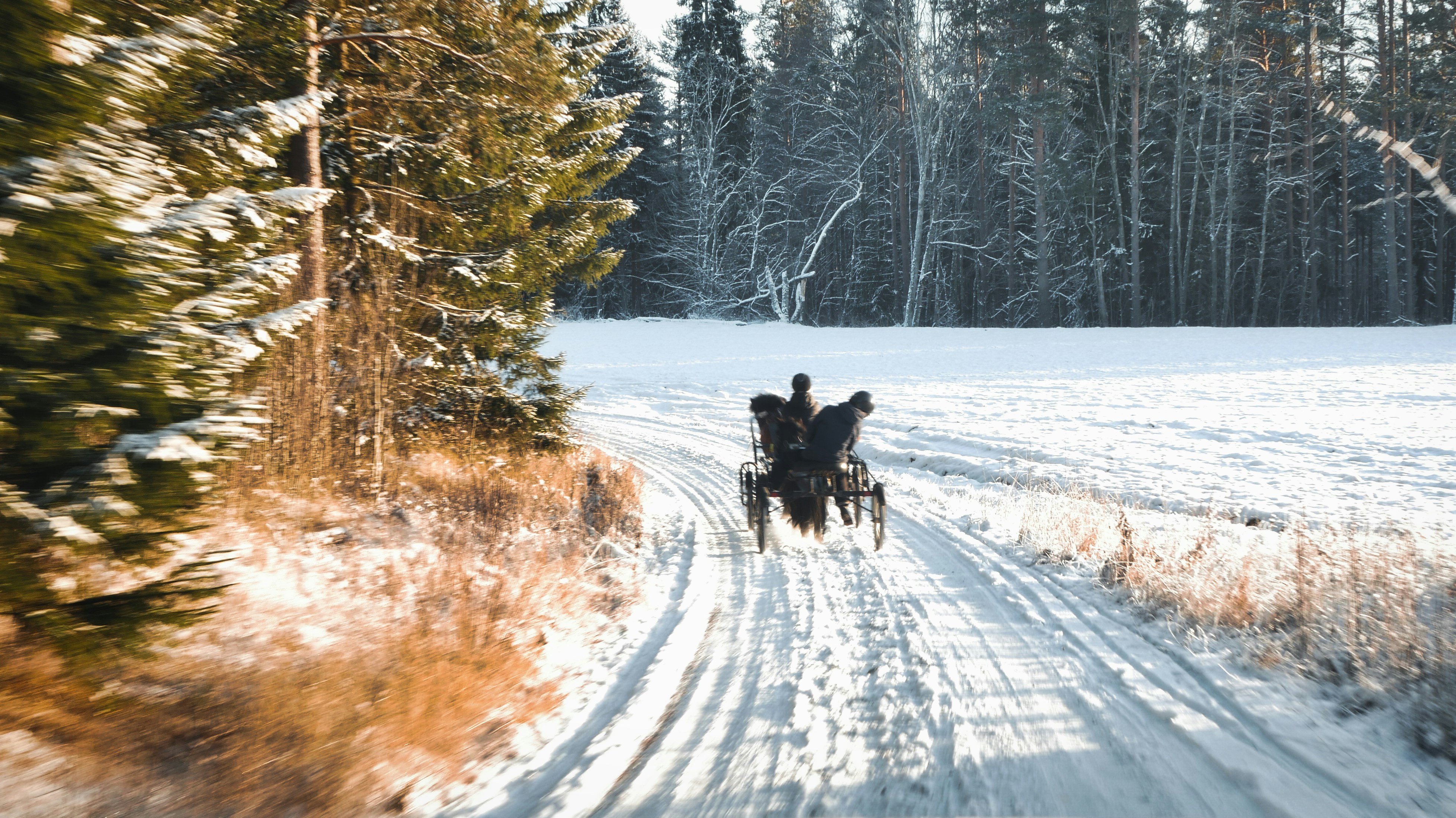 A couple of dogs running across a snow covered field