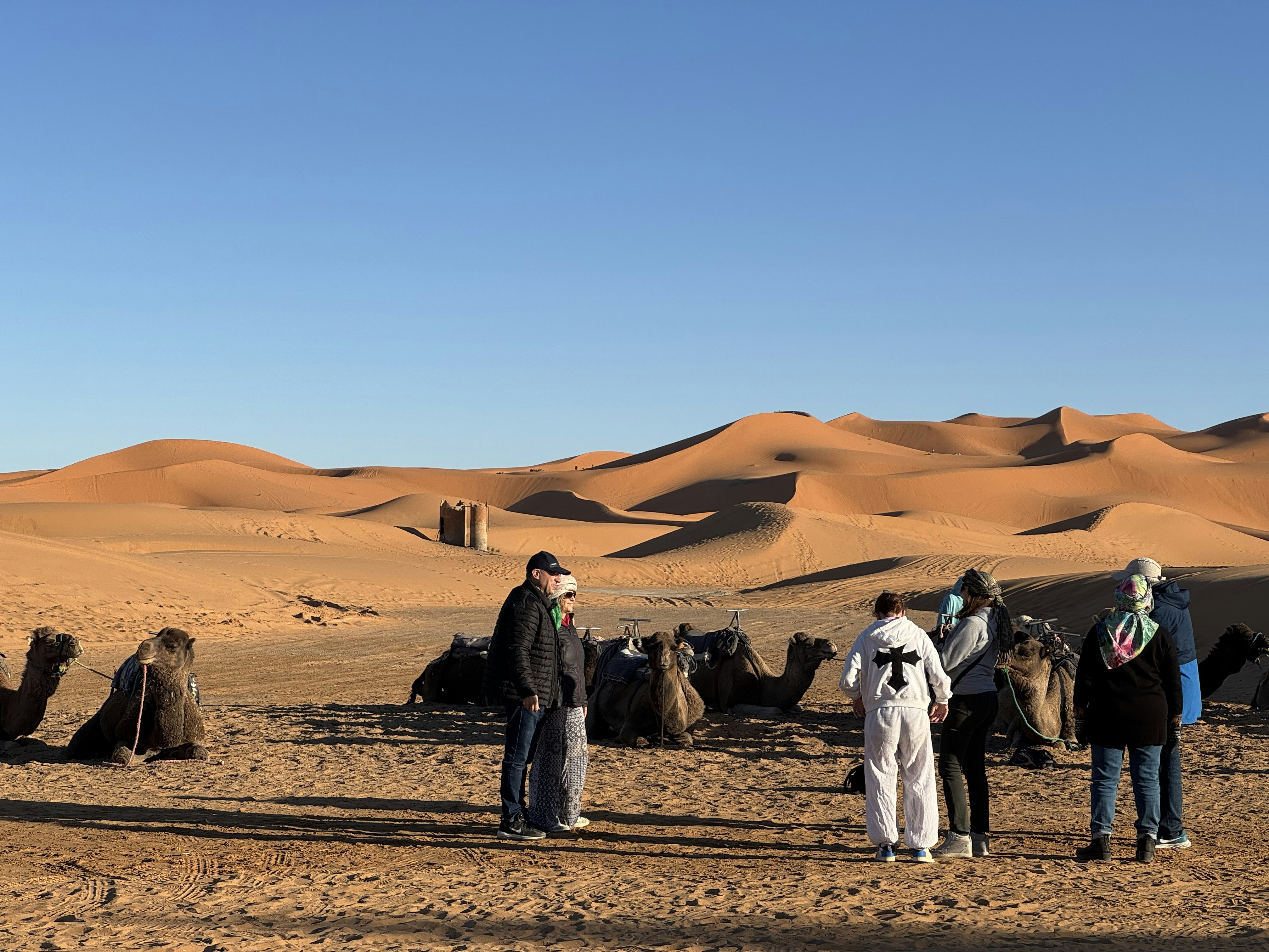 Desert Caravan at the Dune Crest