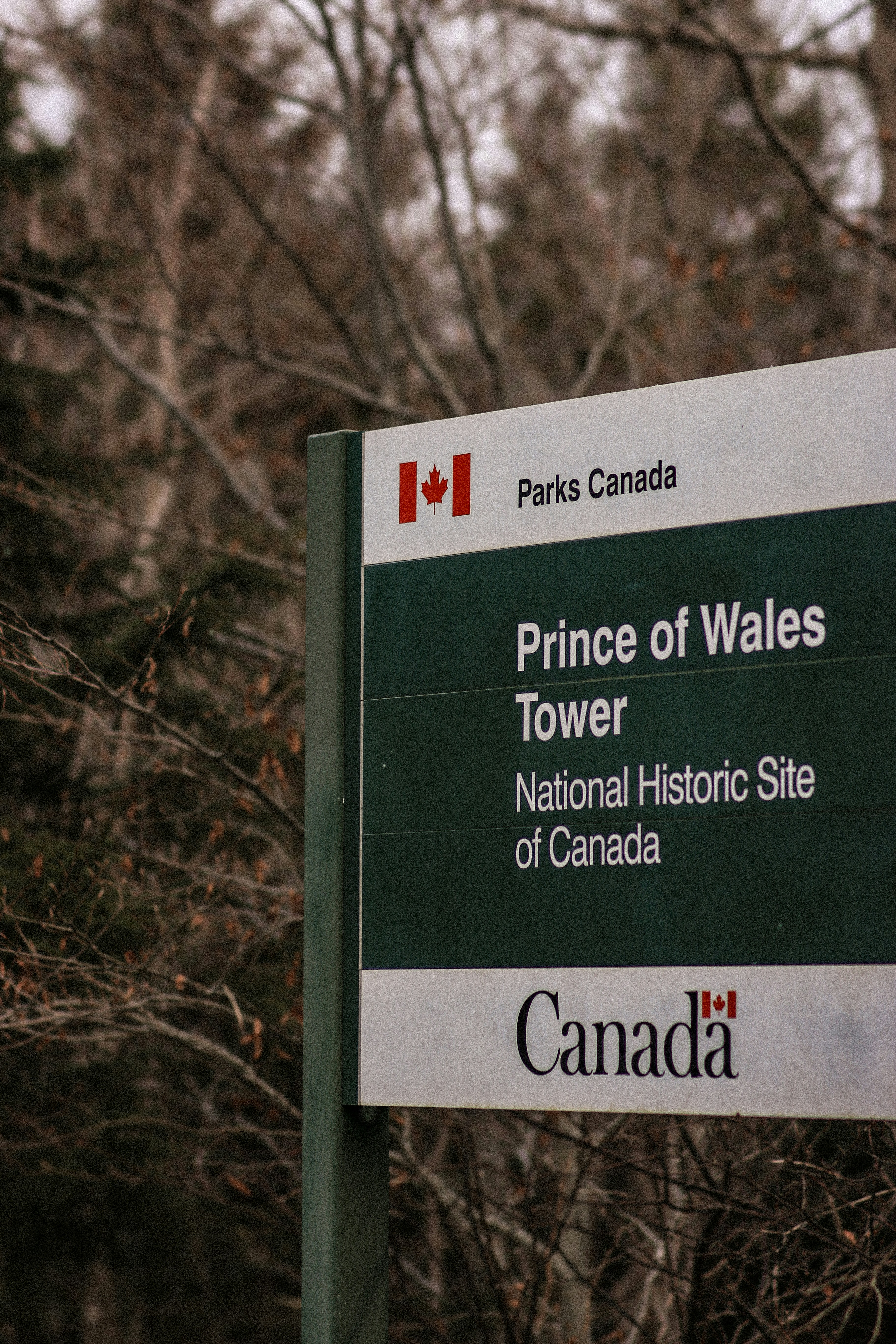 Heritage Marker Under Bare Branches: Prince of Wales Tower Sign