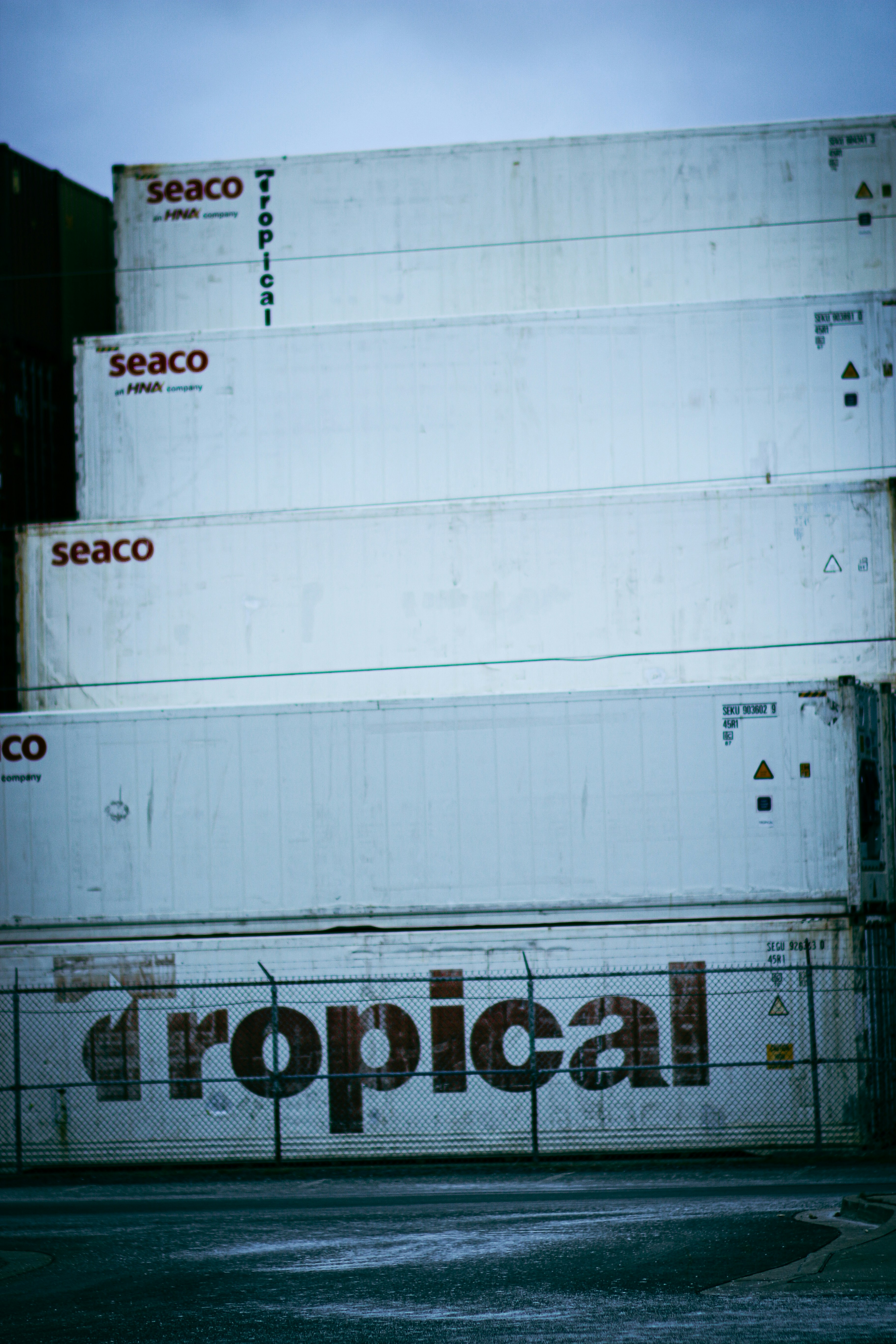 Blue-Tinted Giants: Stacked Seaco Containers Behind a Woven Fence