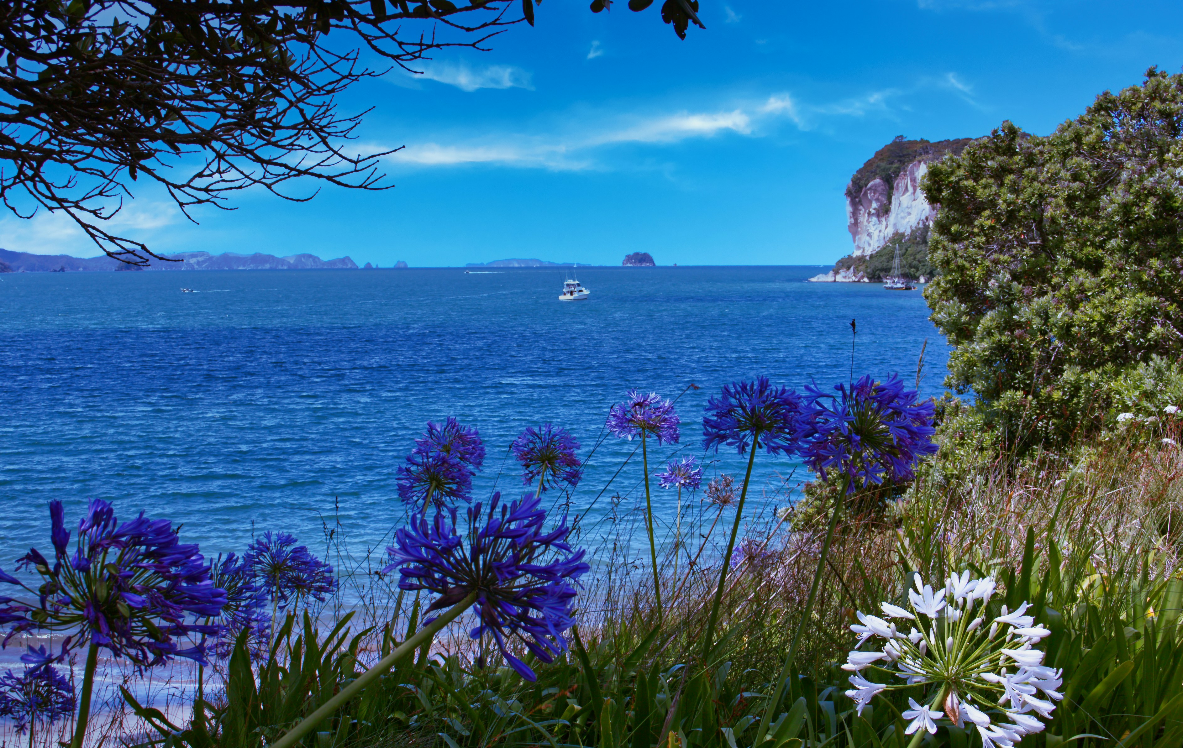 Lavender Foreshore: A Boat in a Sapphire Bay