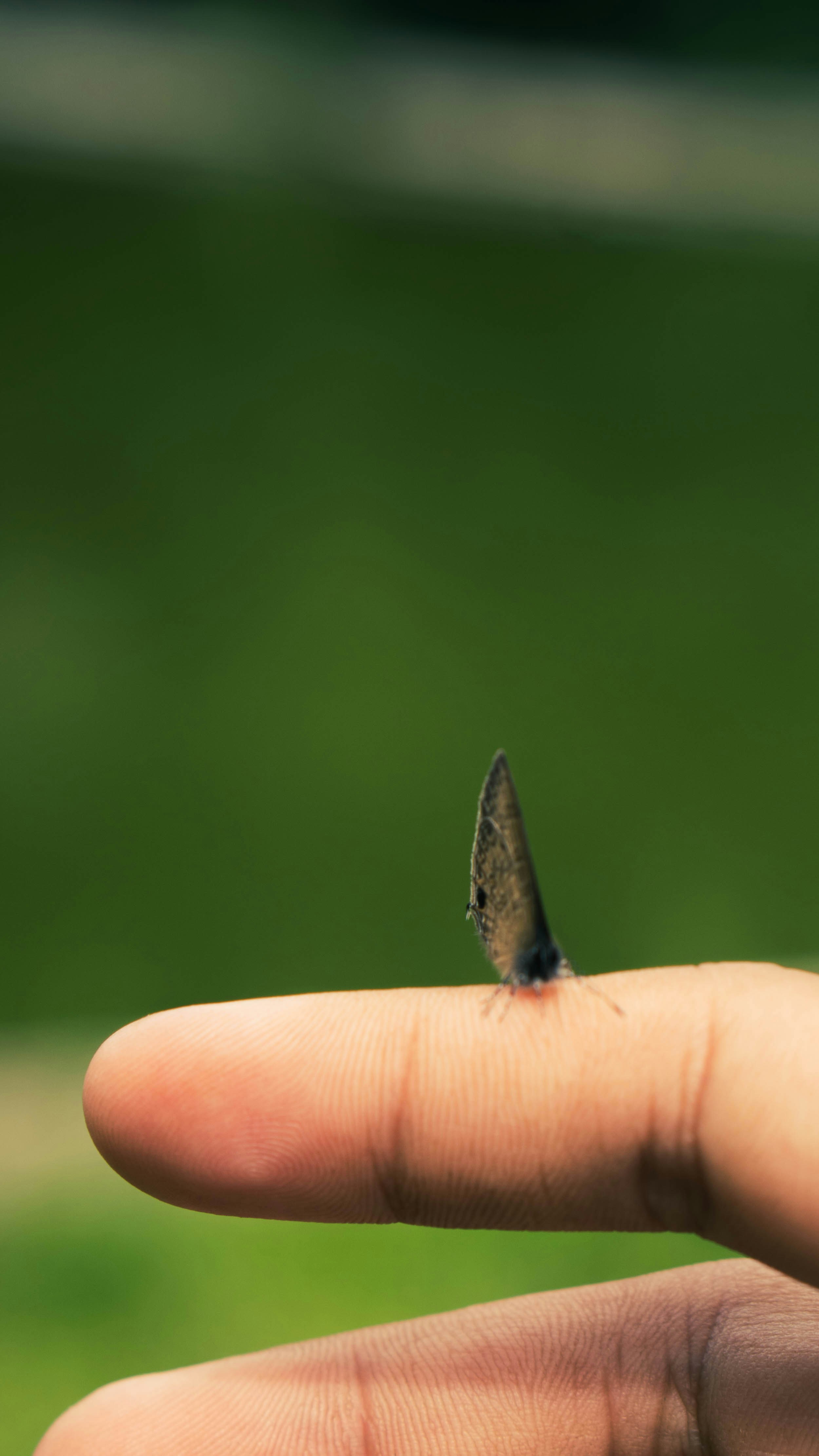 Touched by lil fella