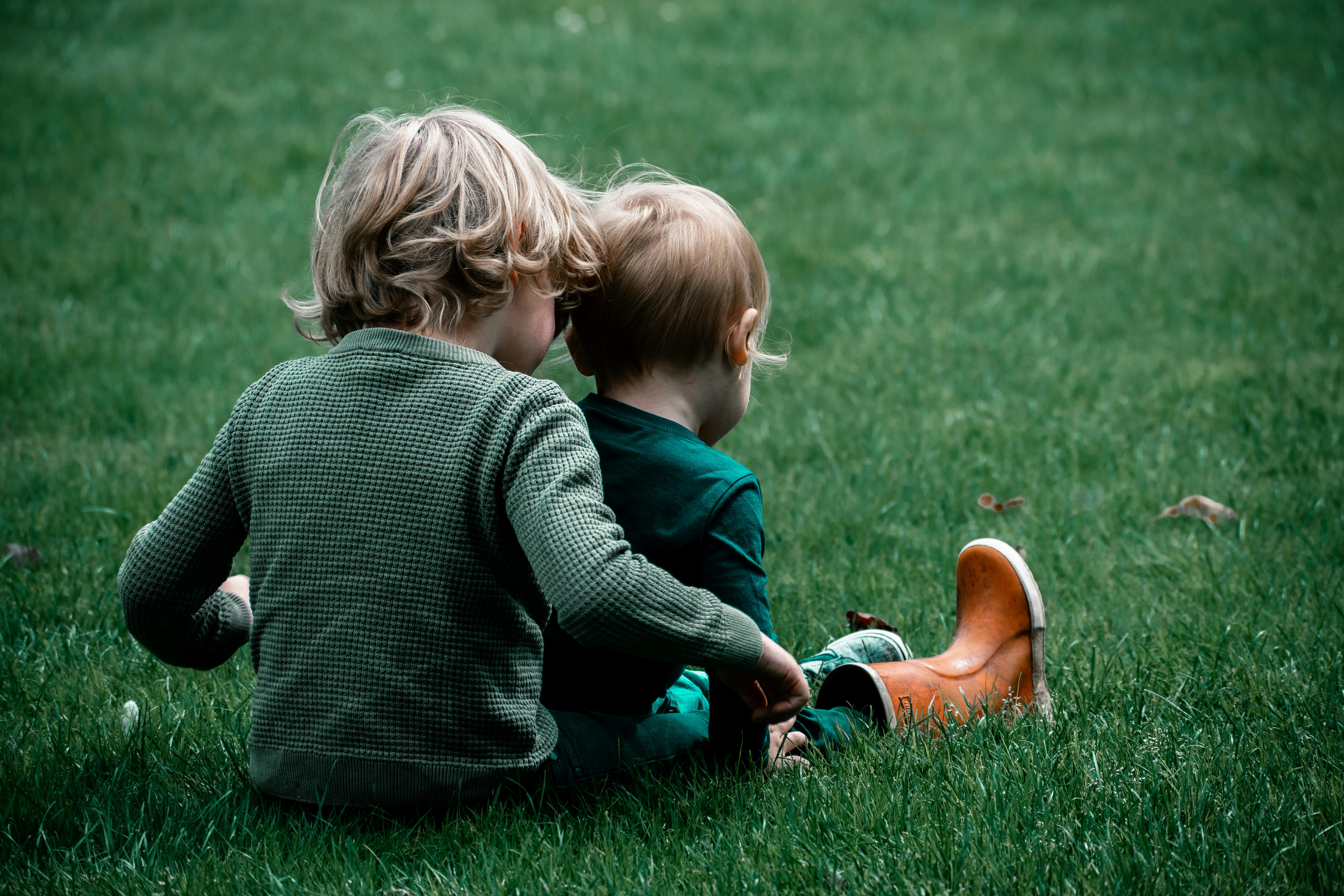 Nepotisme adalah: Pengertian, Contoh, dan Dampaknya - ReadMore.id