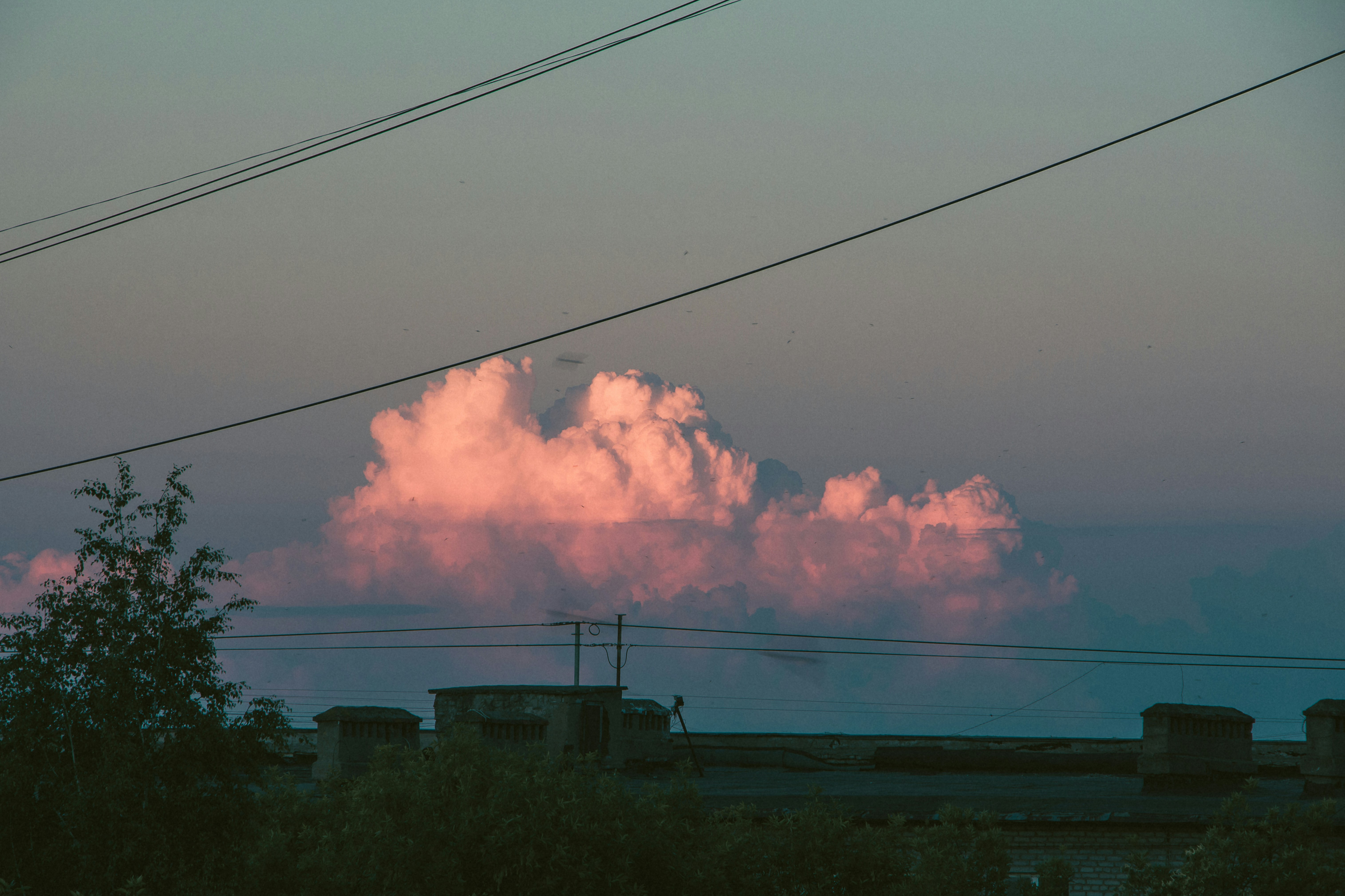 Powder-Pink Cumulus Over a Quiet Rooftop Horizon at Dusk