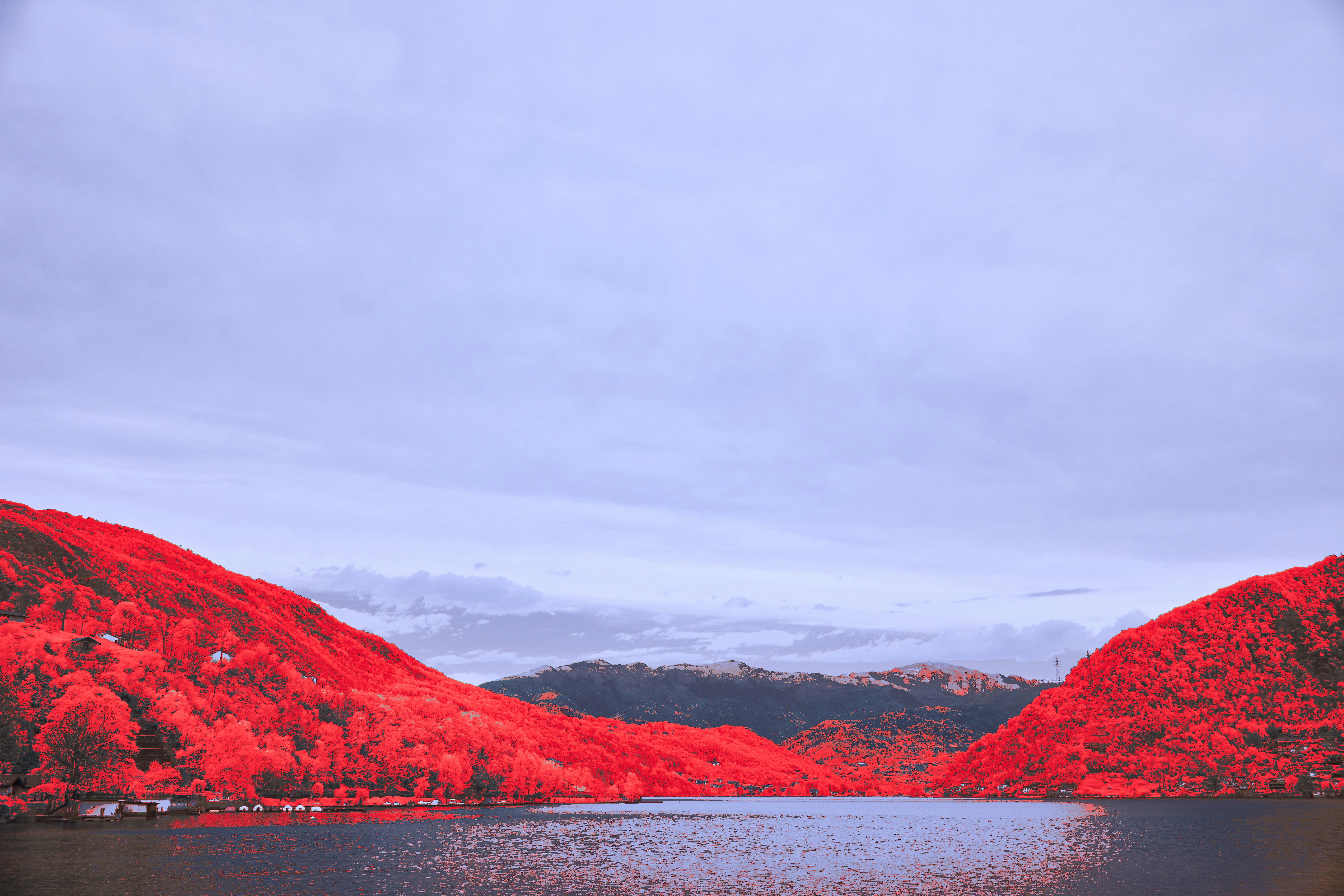 Photo by Wolfgang Hasselmann with Sony Alpha 7 IV