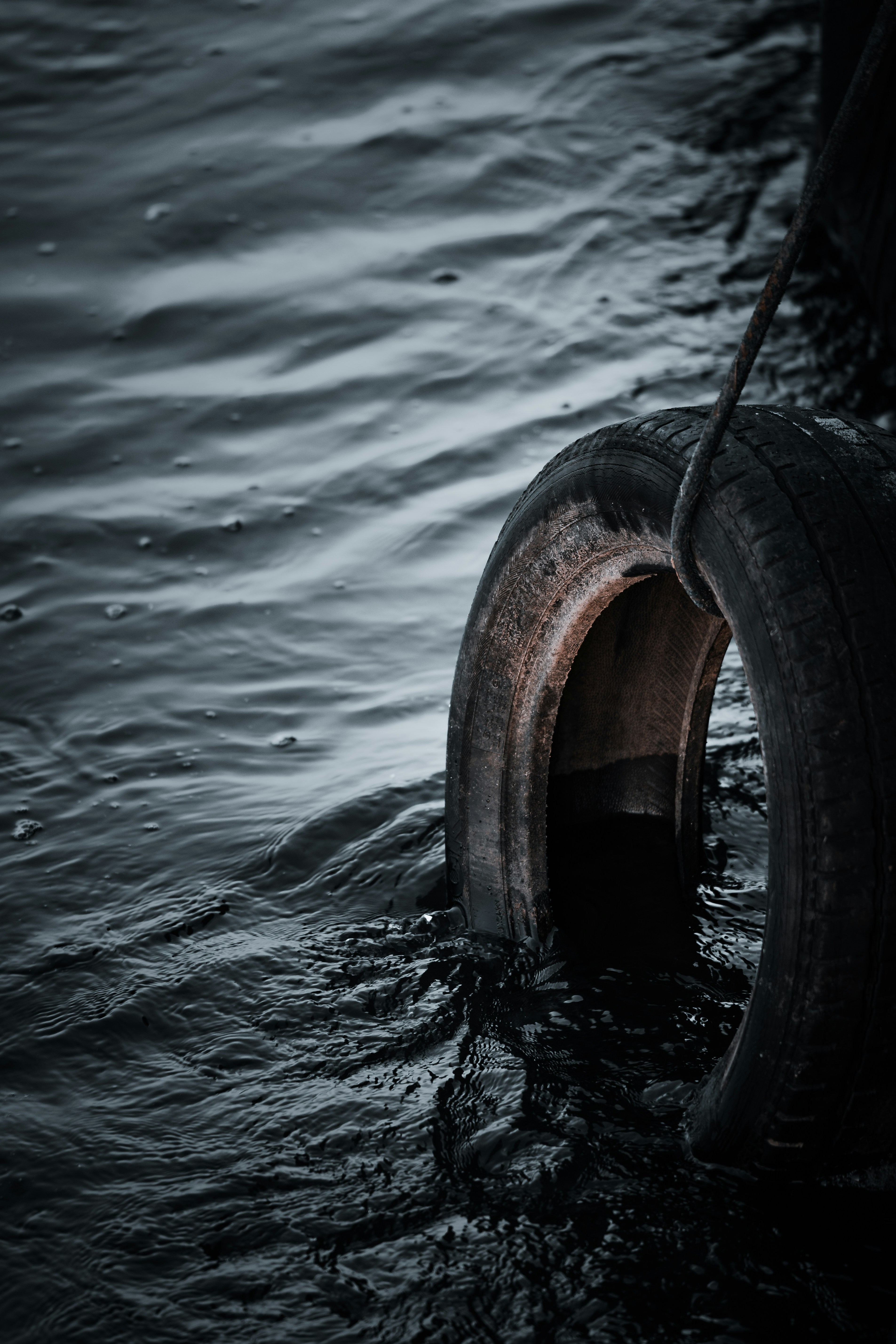 A tire floating on top of a body of water photo – Free Hitzacker (elbe ...