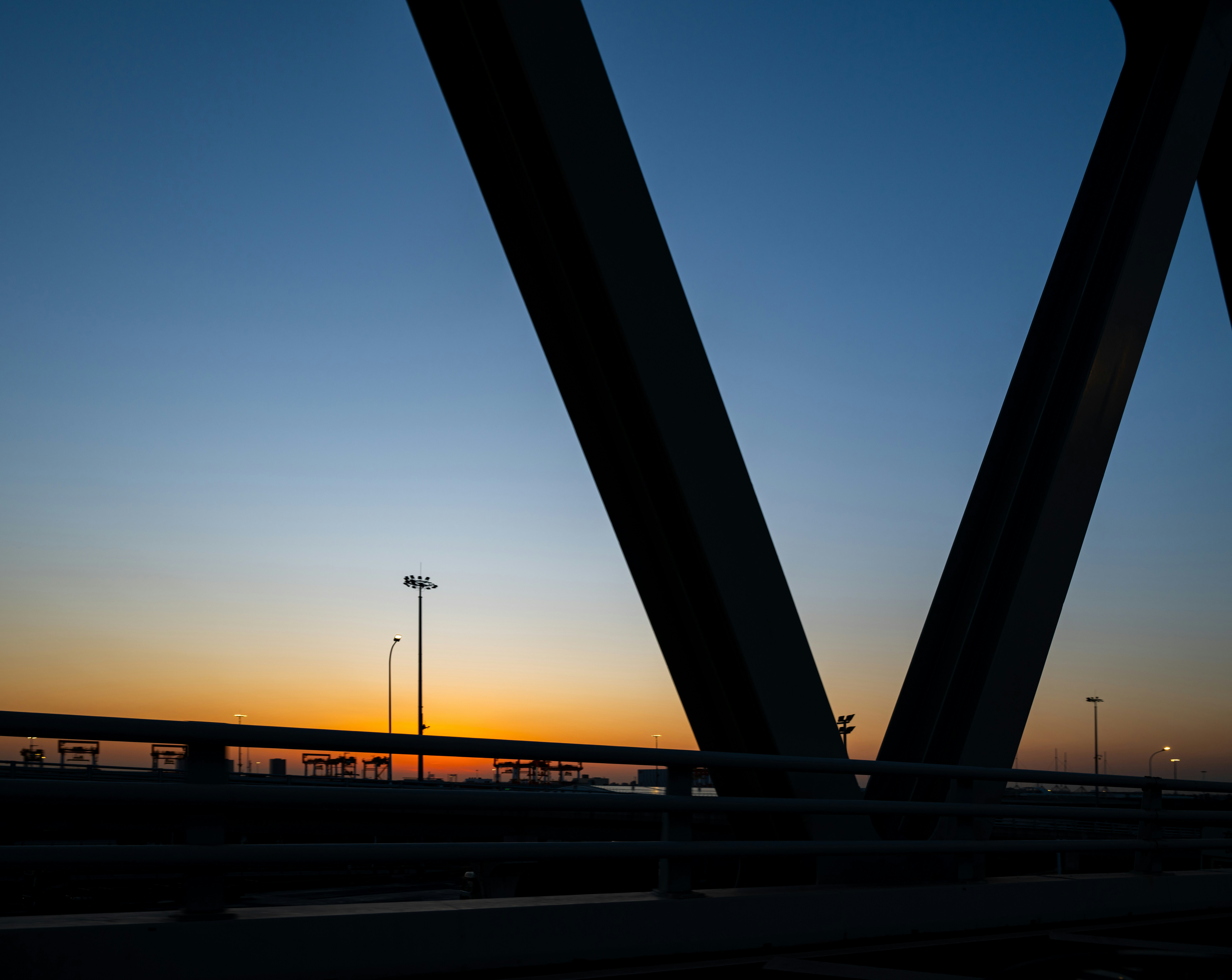 Photo by Declan Sun with Nikon Z8