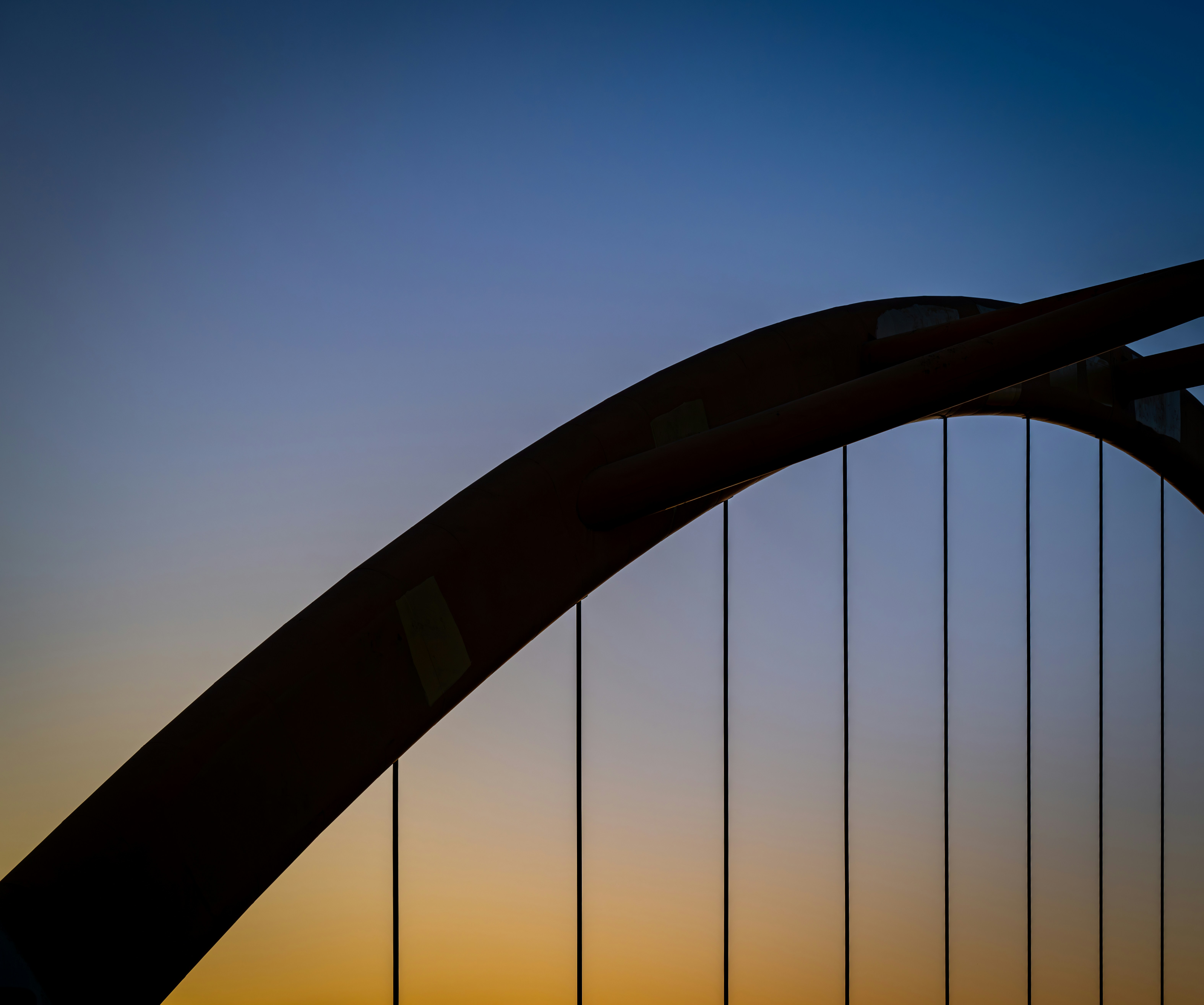 Photo by Declan Sun with Nikon Z8