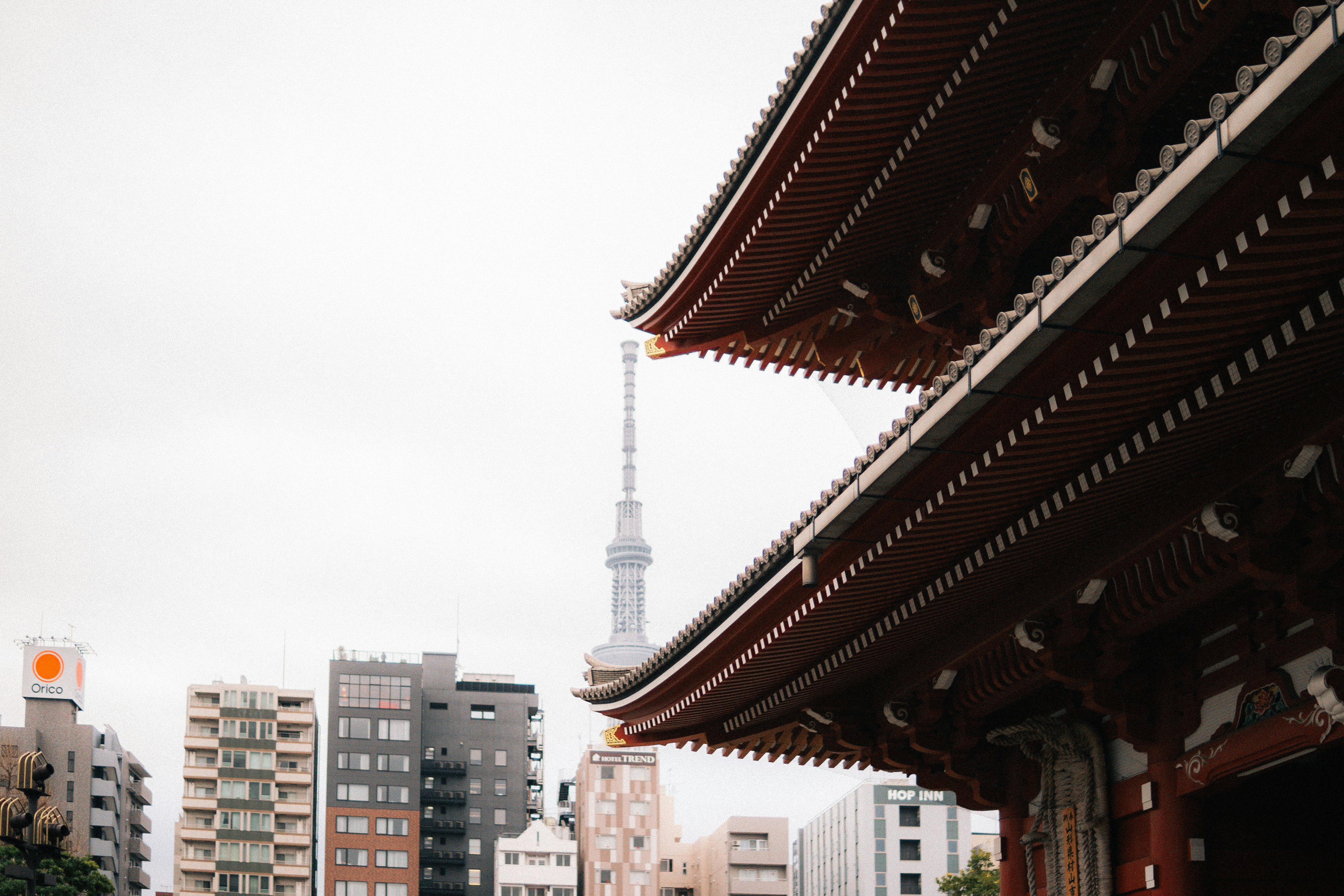 Overhangs and Skyline: Temple Roof Framing the Urban Horizon