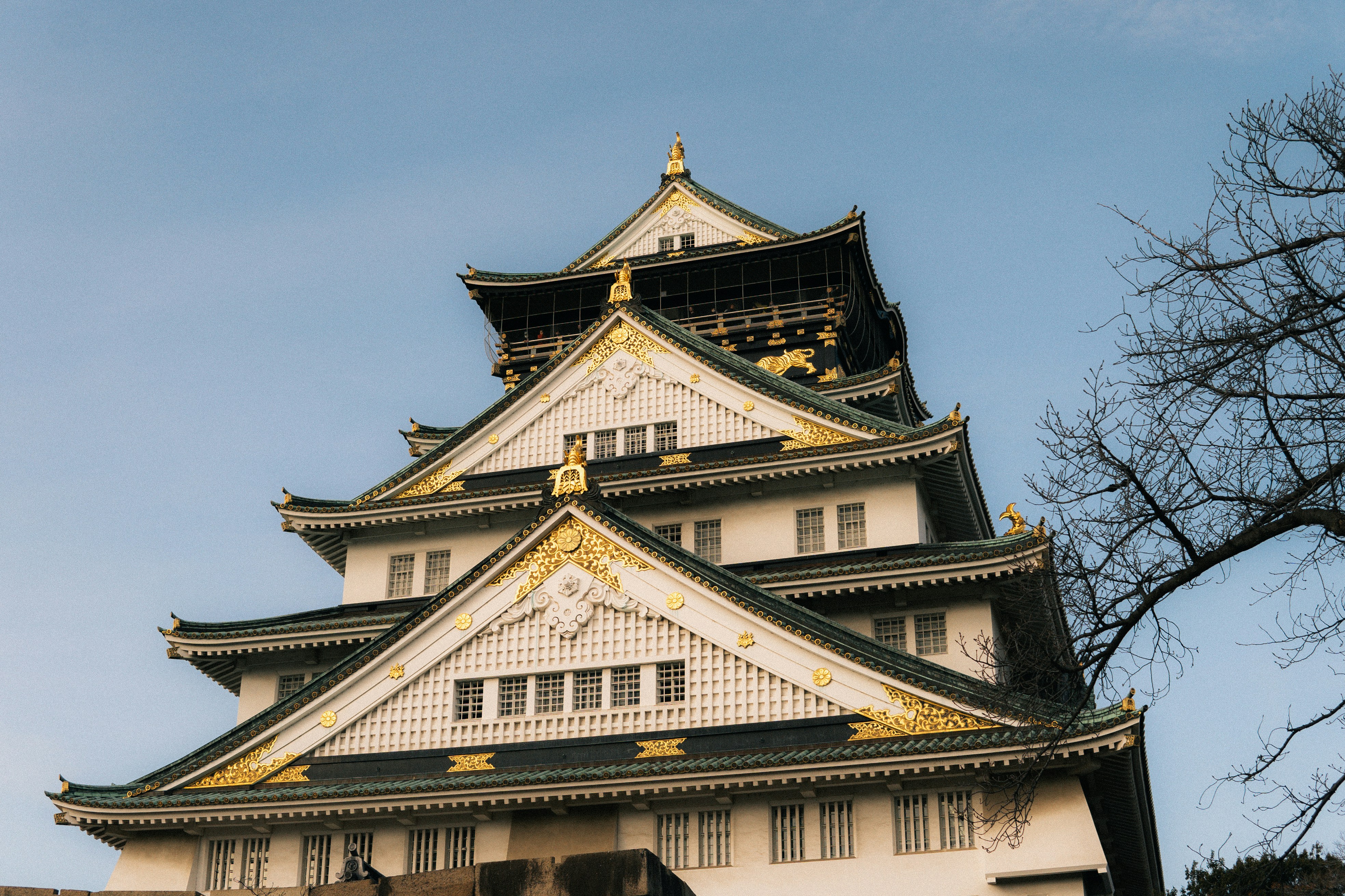 Traditional Japanese castle with gilded details against a clear blue sky and a barren tree.