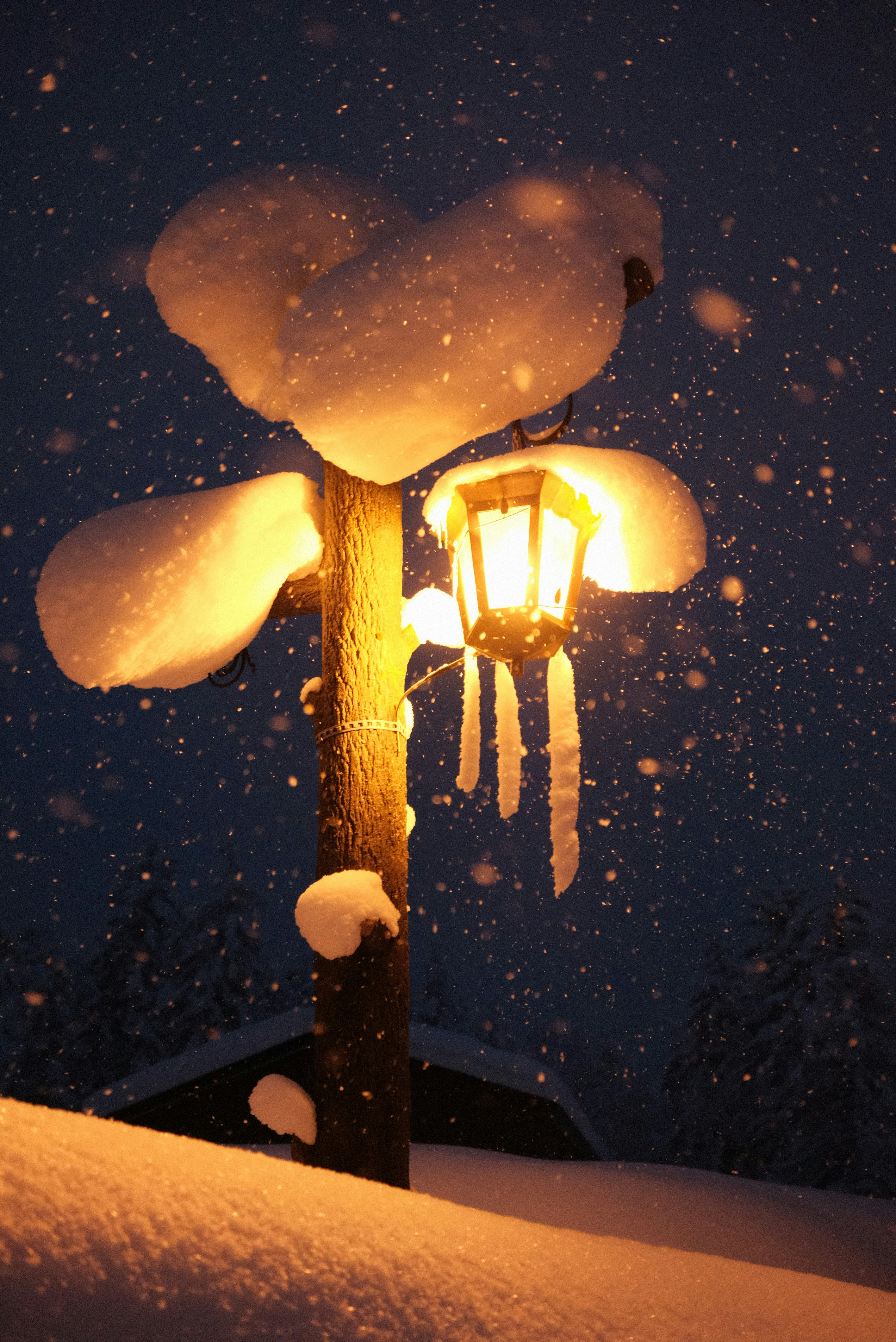 A street light covered in snow at night photo – Free Hotel bearmonte ...
