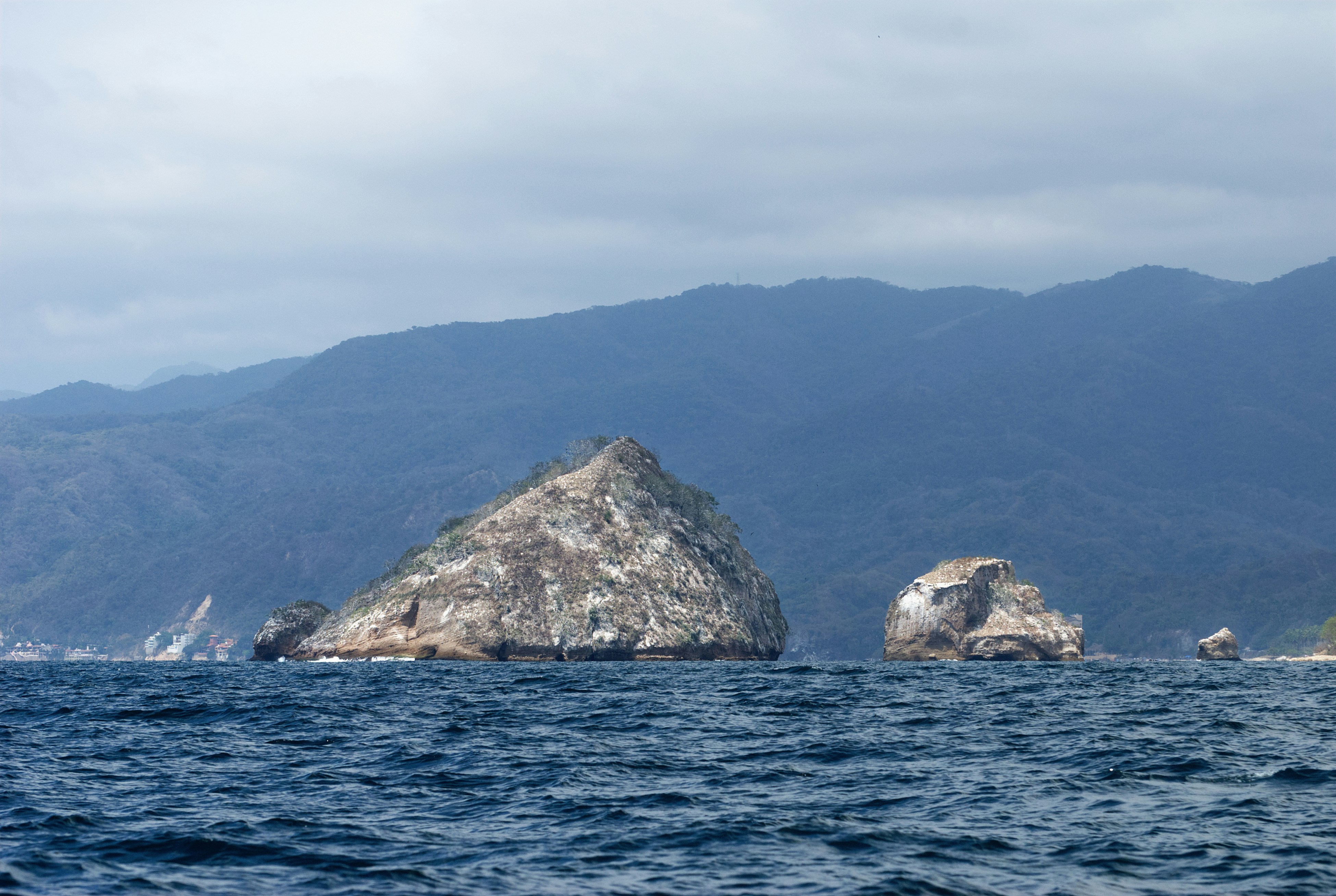 Stone Sentinels on the Sea: A Quiet Confrontation with the Mountain Veil