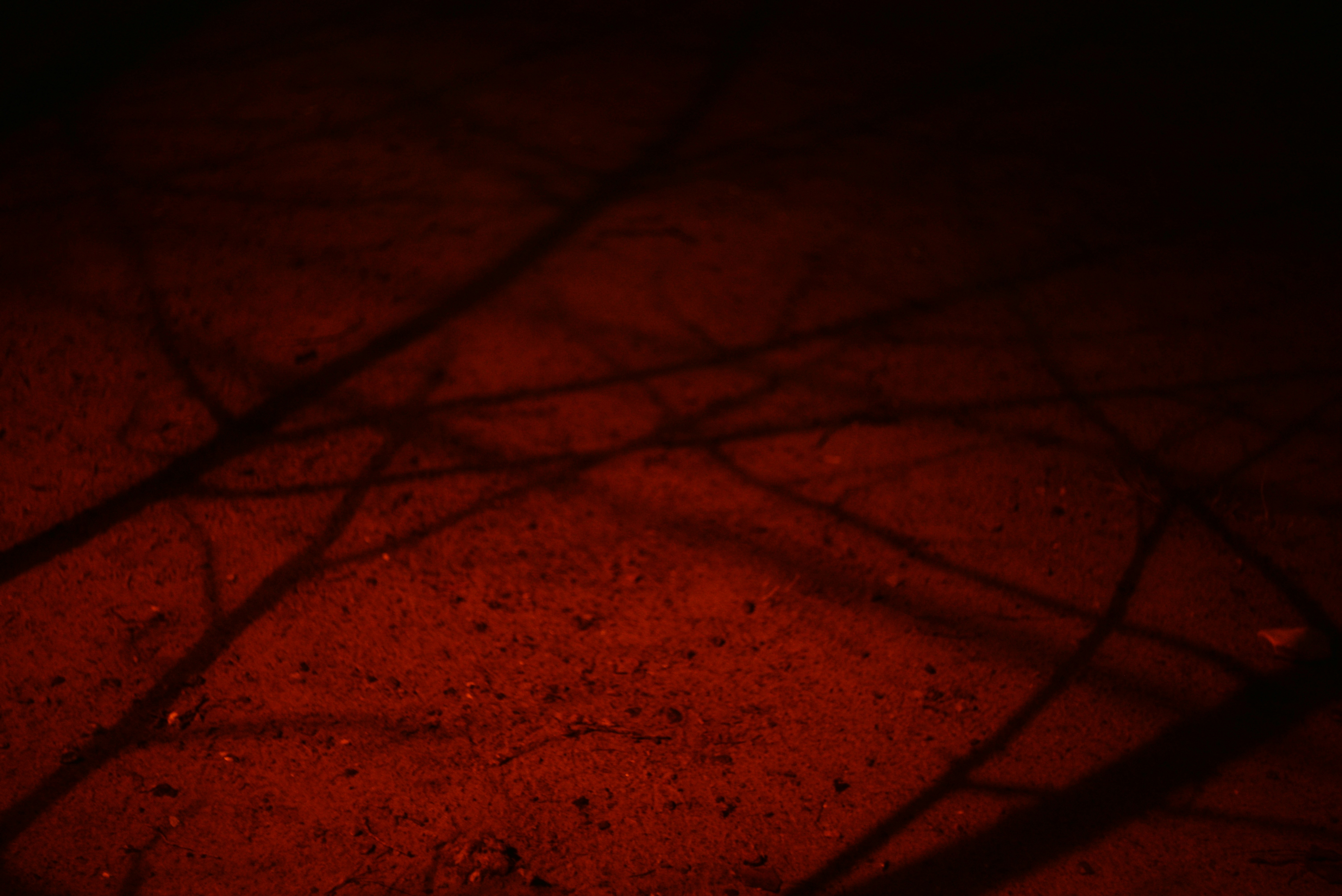 Intricate patterns of shadows cast on a textured surface, illuminated by a deep red light. The interplay of light and dark creates a striking visual narrative.