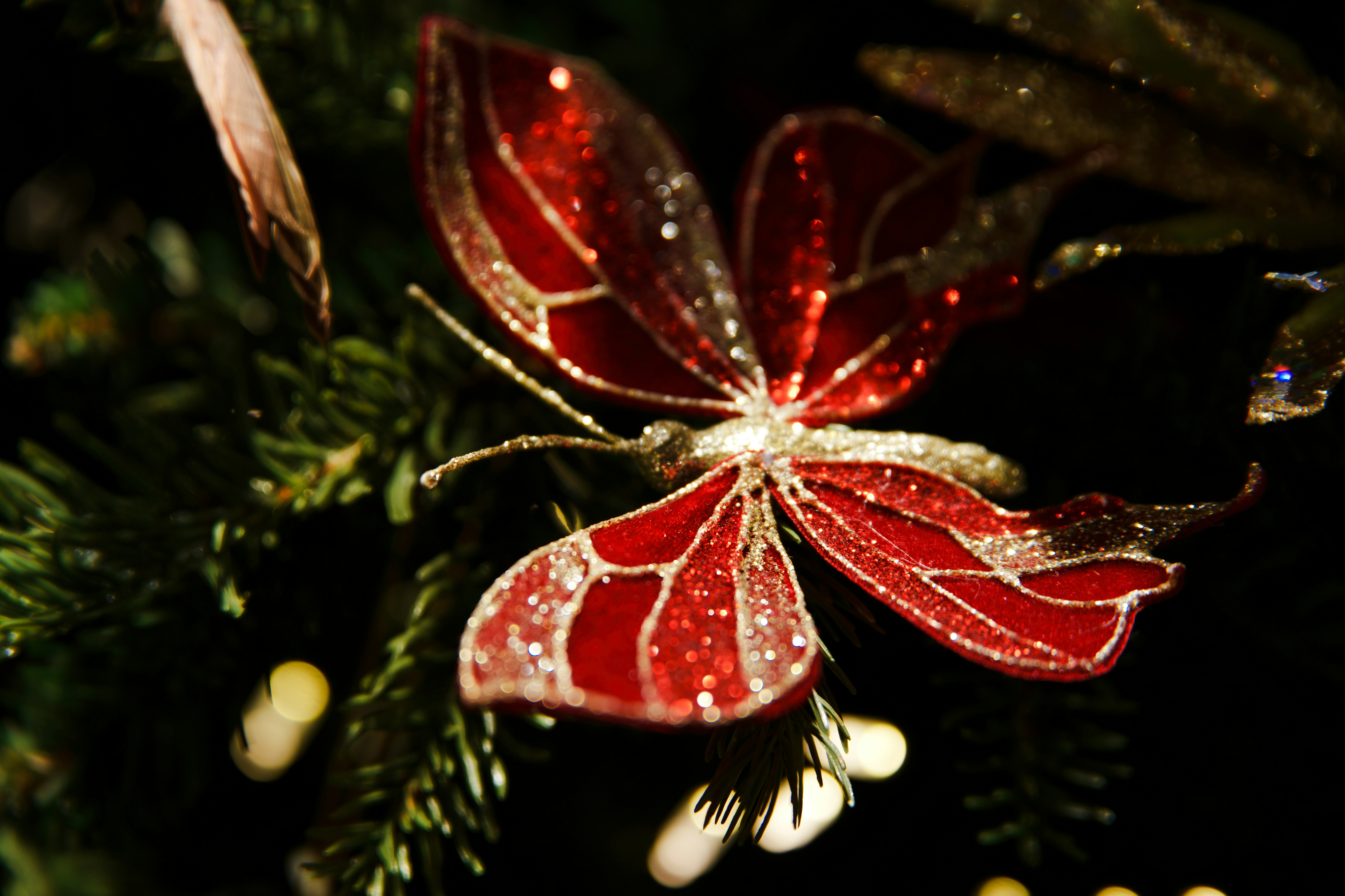 The festive mood of Christmas and New Year is still in the air at the Galeria Dominikańska on the January 10. Wroclaw, Poland. - Świąteczno-noworoczny nastrój wciąż unosi się w powietrzu w Galerii Dominikańskiej jeszcze 10 stycznia. Wrocław, Polska. - Праздничное настроение Рождества и Нового года все еще витает в воздухе в Galeria Dominikańska в день 10 января. Вроцлав, Польша. - Святковий настрій Різдва та Нового року все ще витає у повітрі Галереї Домініканської 10 січня. Вроцлав, Польща. - Die festliche Stimmung von Weihnachten und Neujahr liegt in der Galeria Dominikańska am 10. Januar...