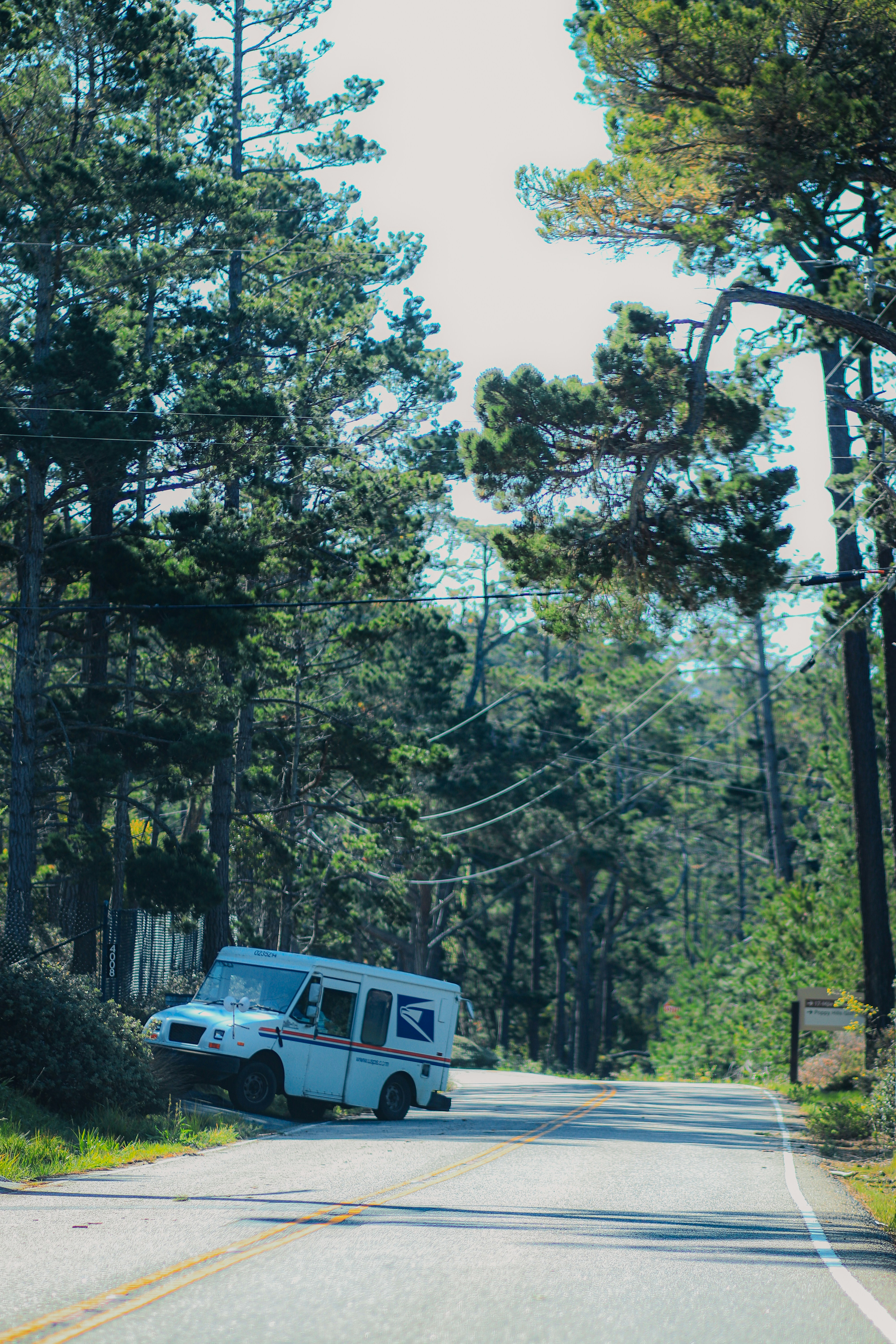Leaning Mail Van at the Forest Curve Under Sunlit Pines