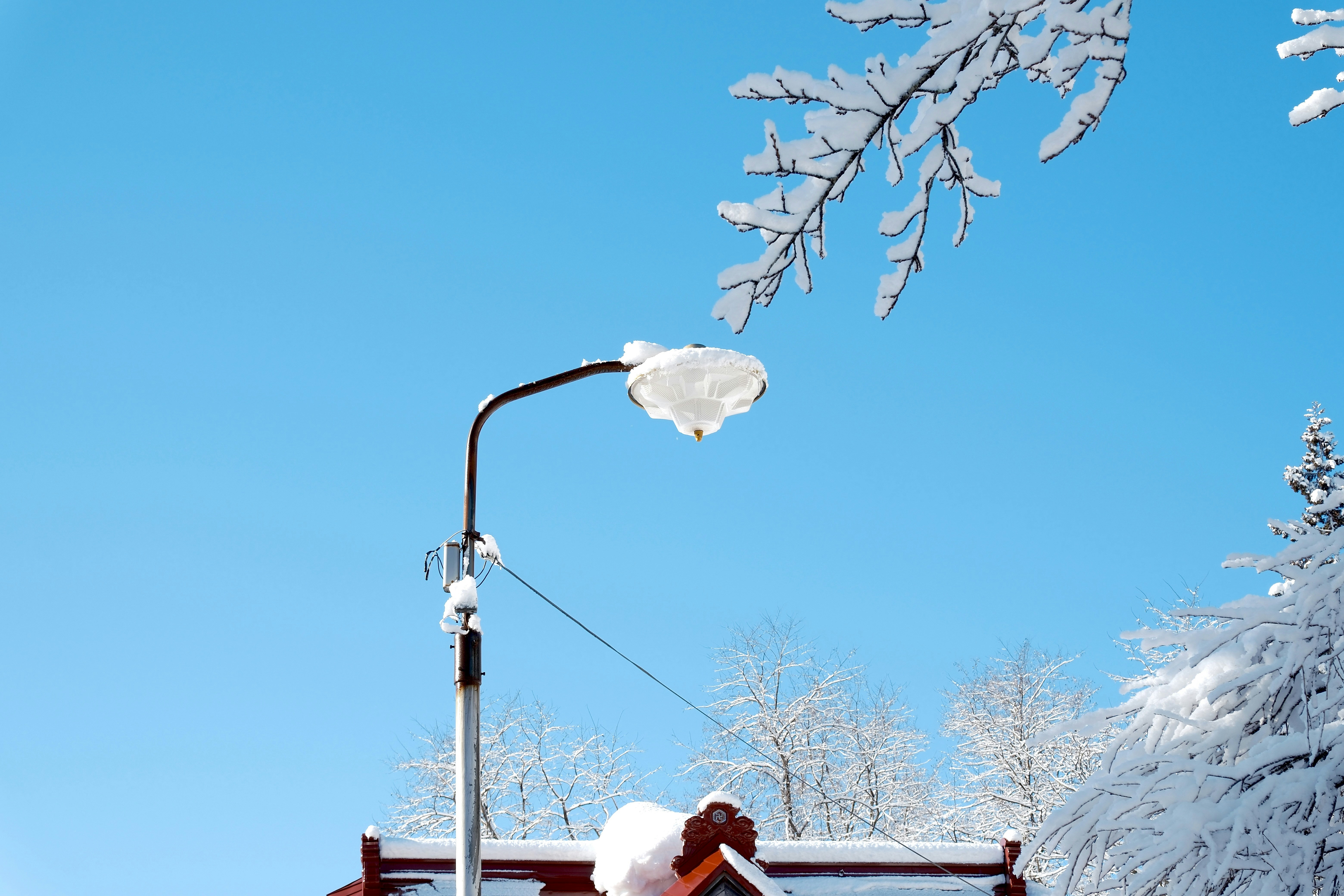 A snow covered street light next to a snow covered tree photo – Free ...