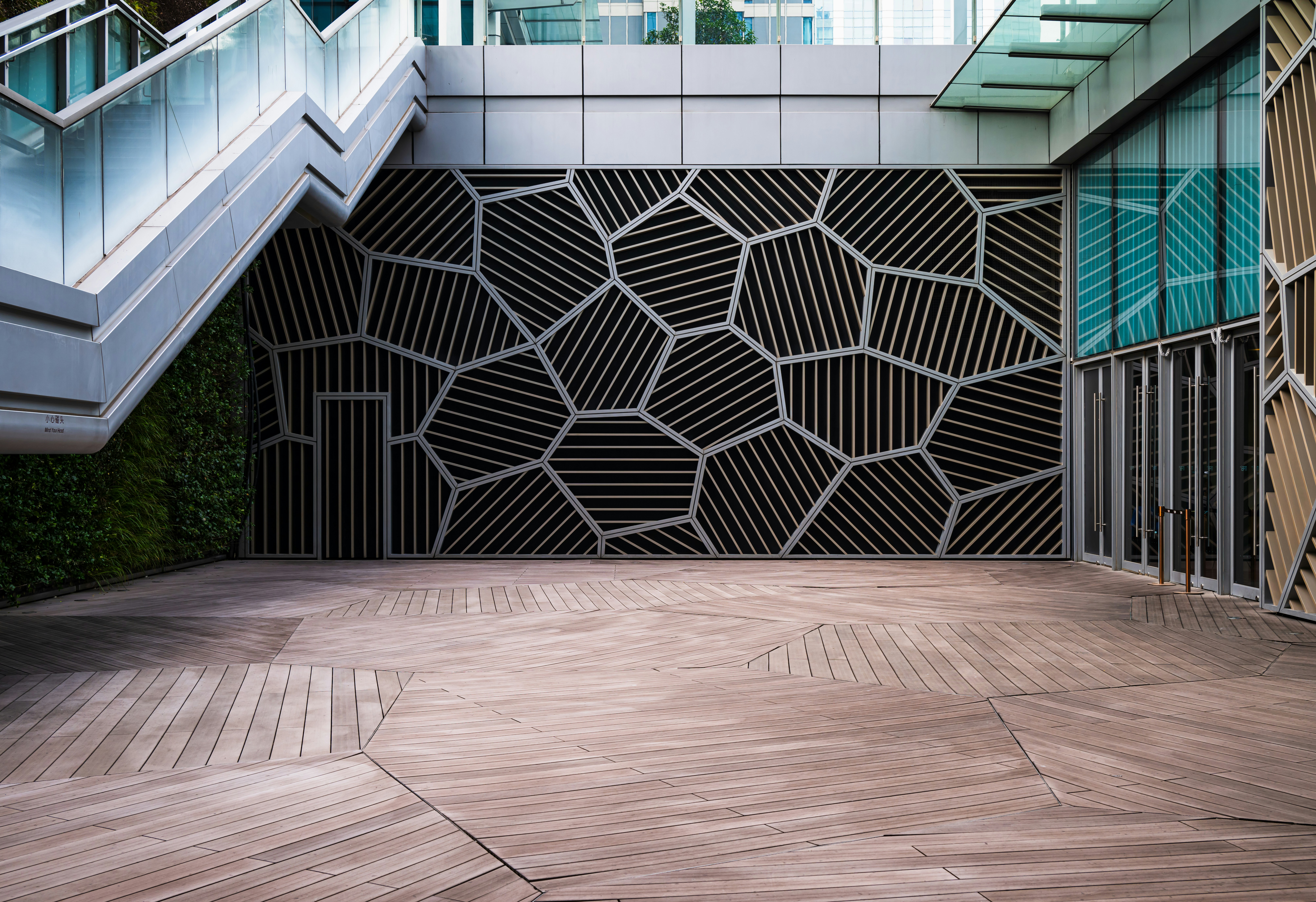 Photo by Declan Sun with Nikon Z8