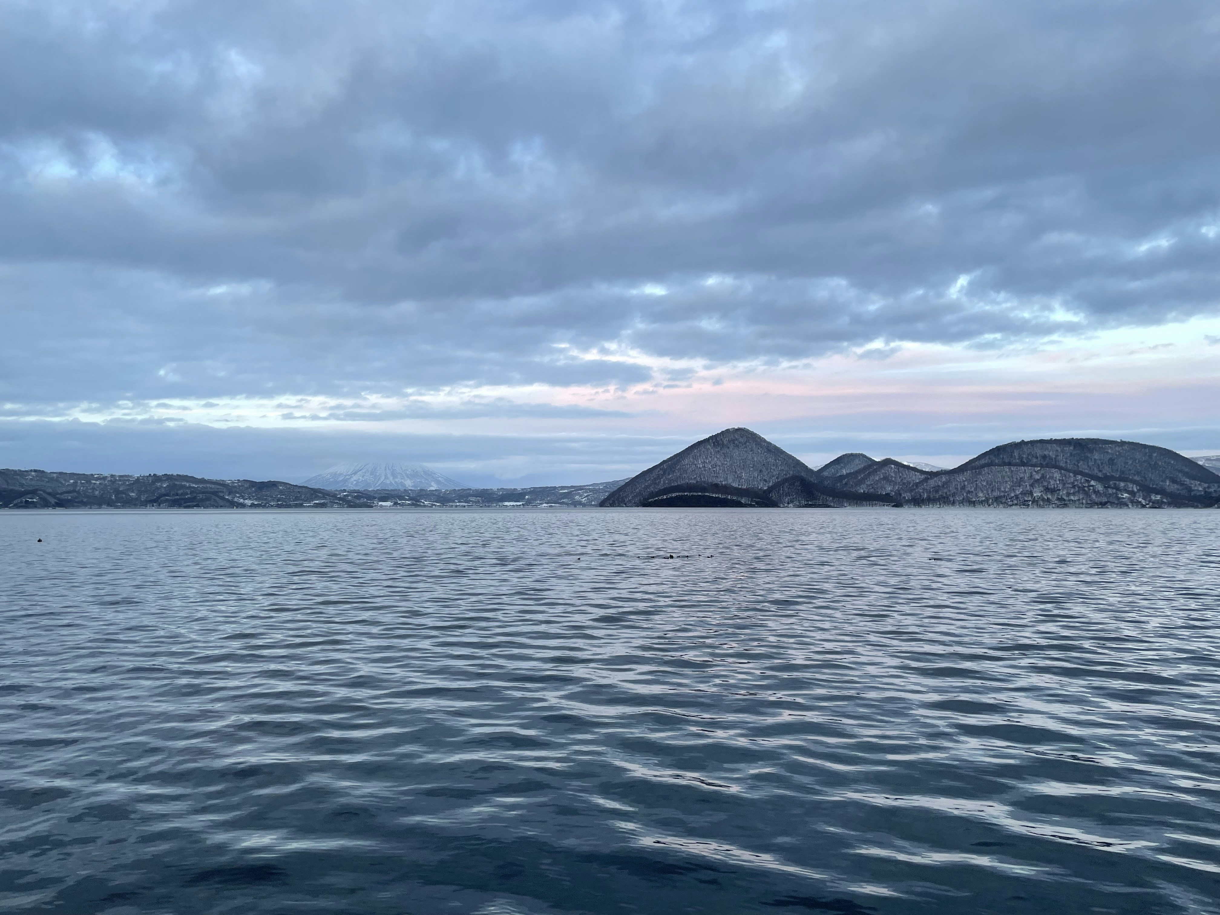 Kaitlyn C (@cheese_lover) | Unsplashフォトコミュニティ