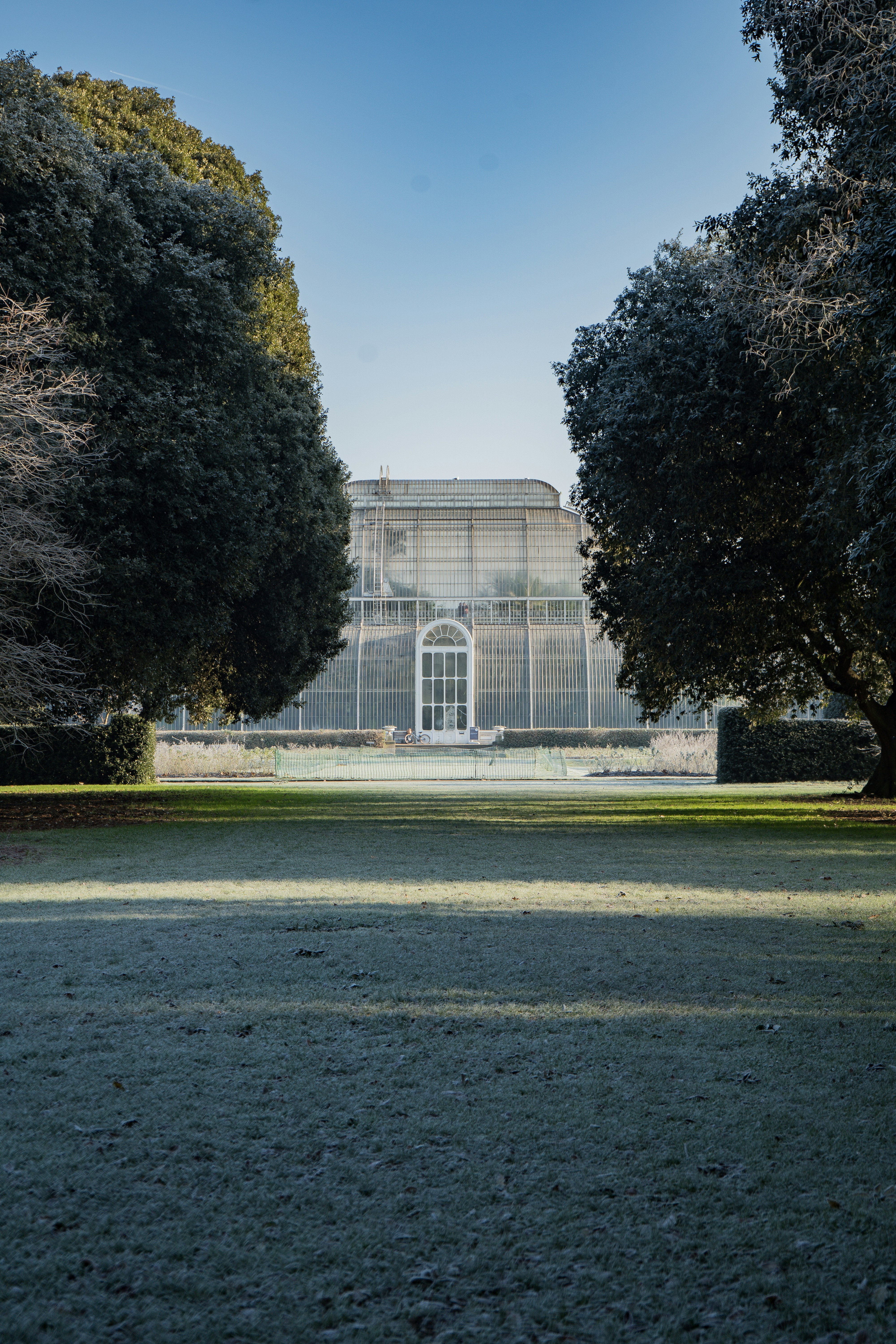 A view of a building through some trees