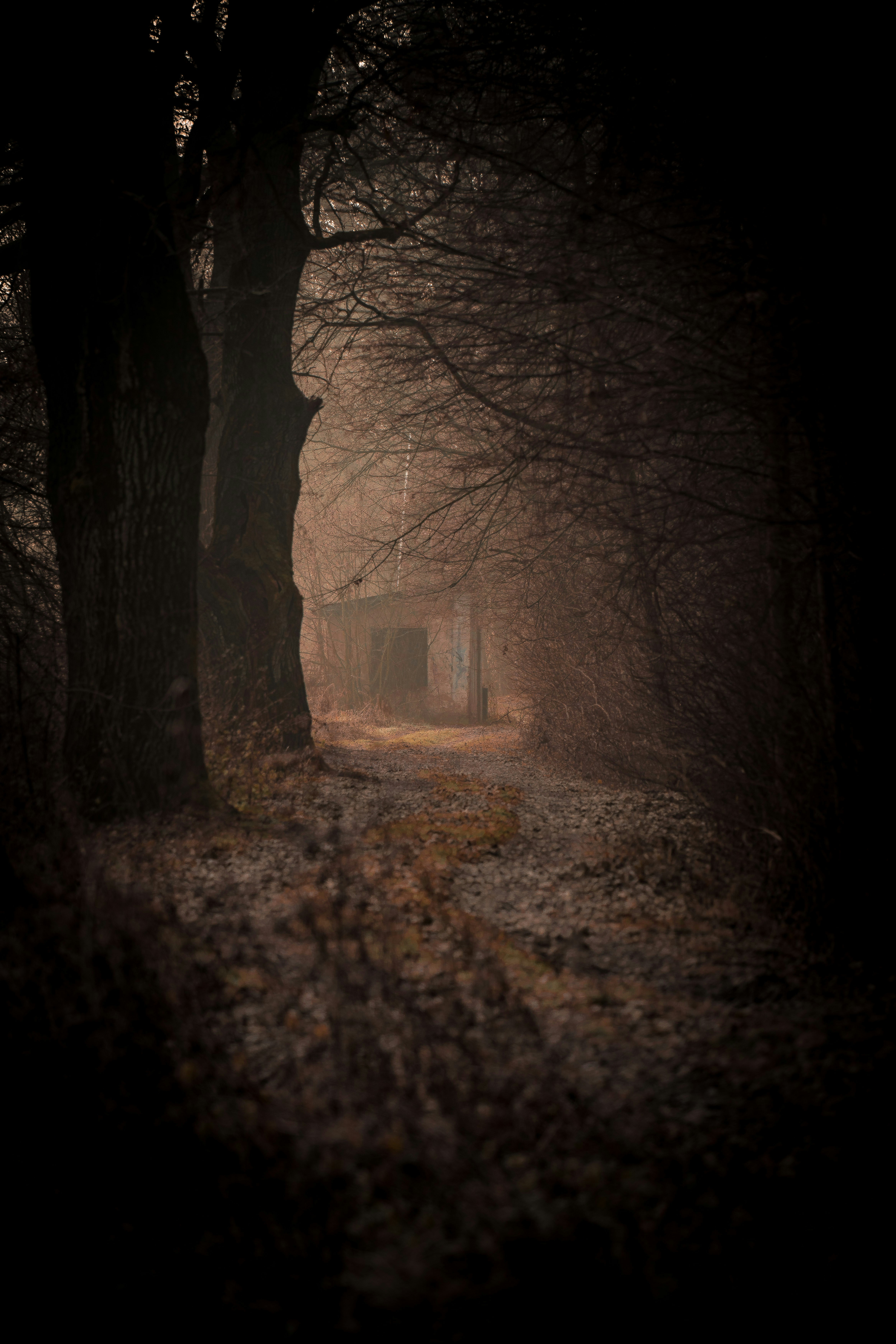 Wander Pictures | Download Free Images on Unsplash