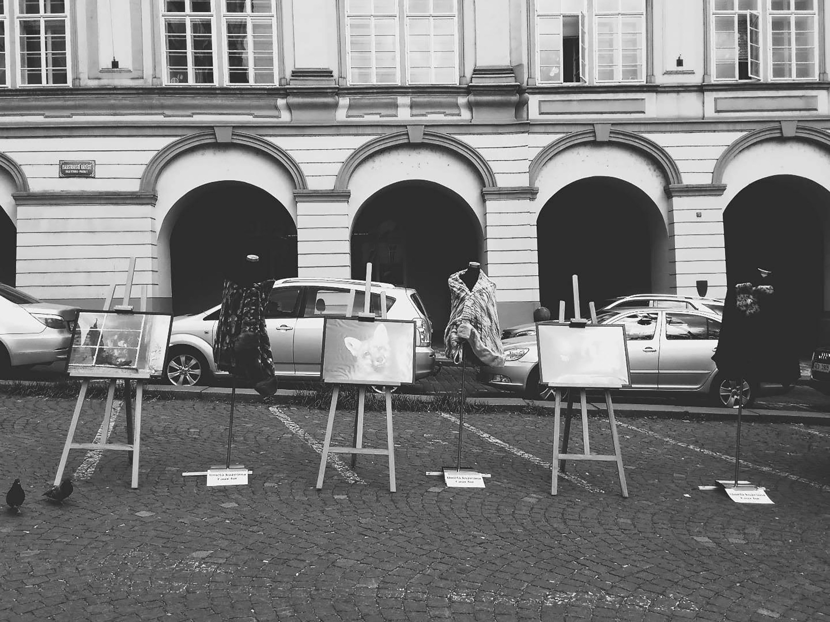 Gal Zohar (@gooly) | Communauté photos Unsplash