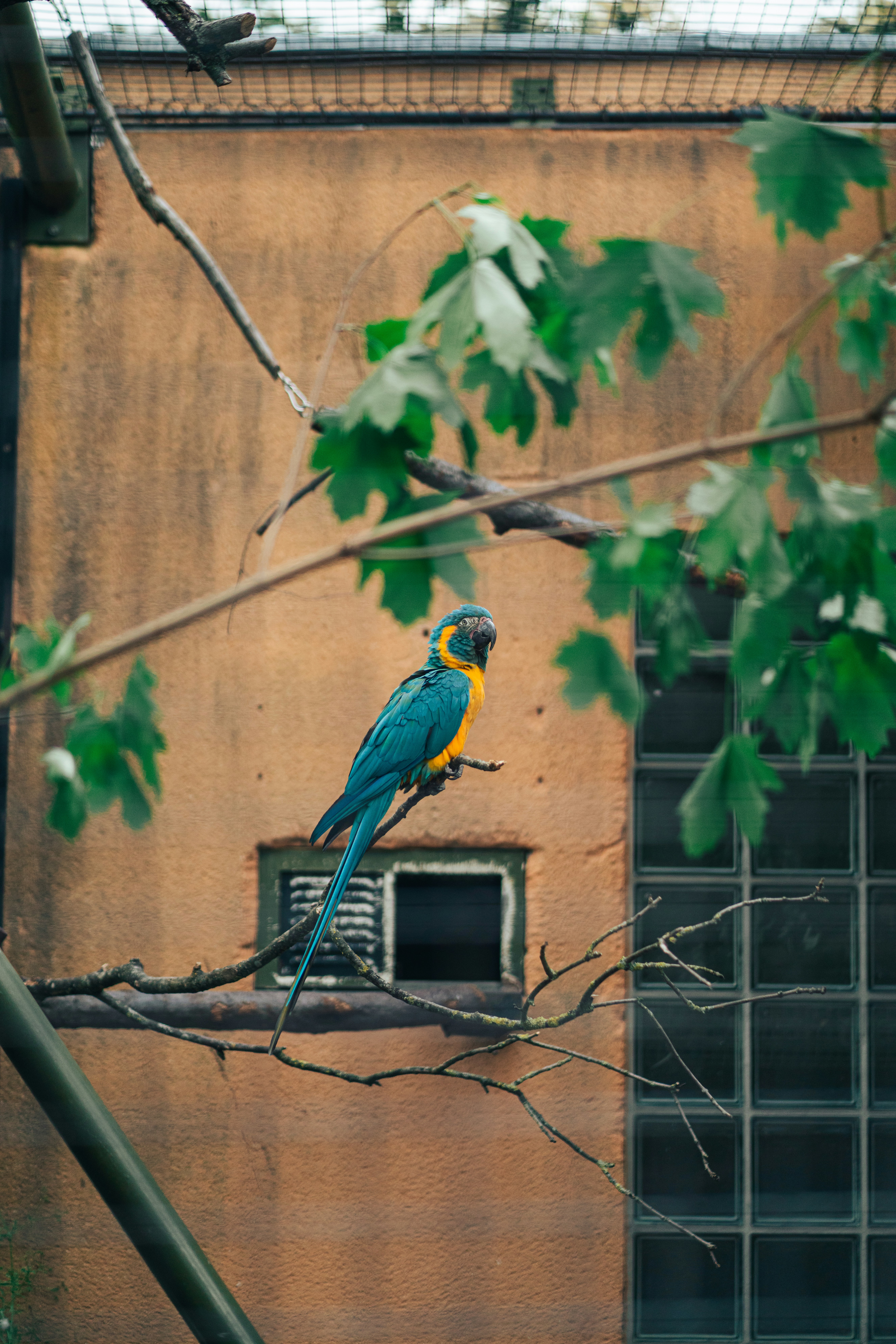 Photo by Joshua Lawrence with Sony Alpha 7R II