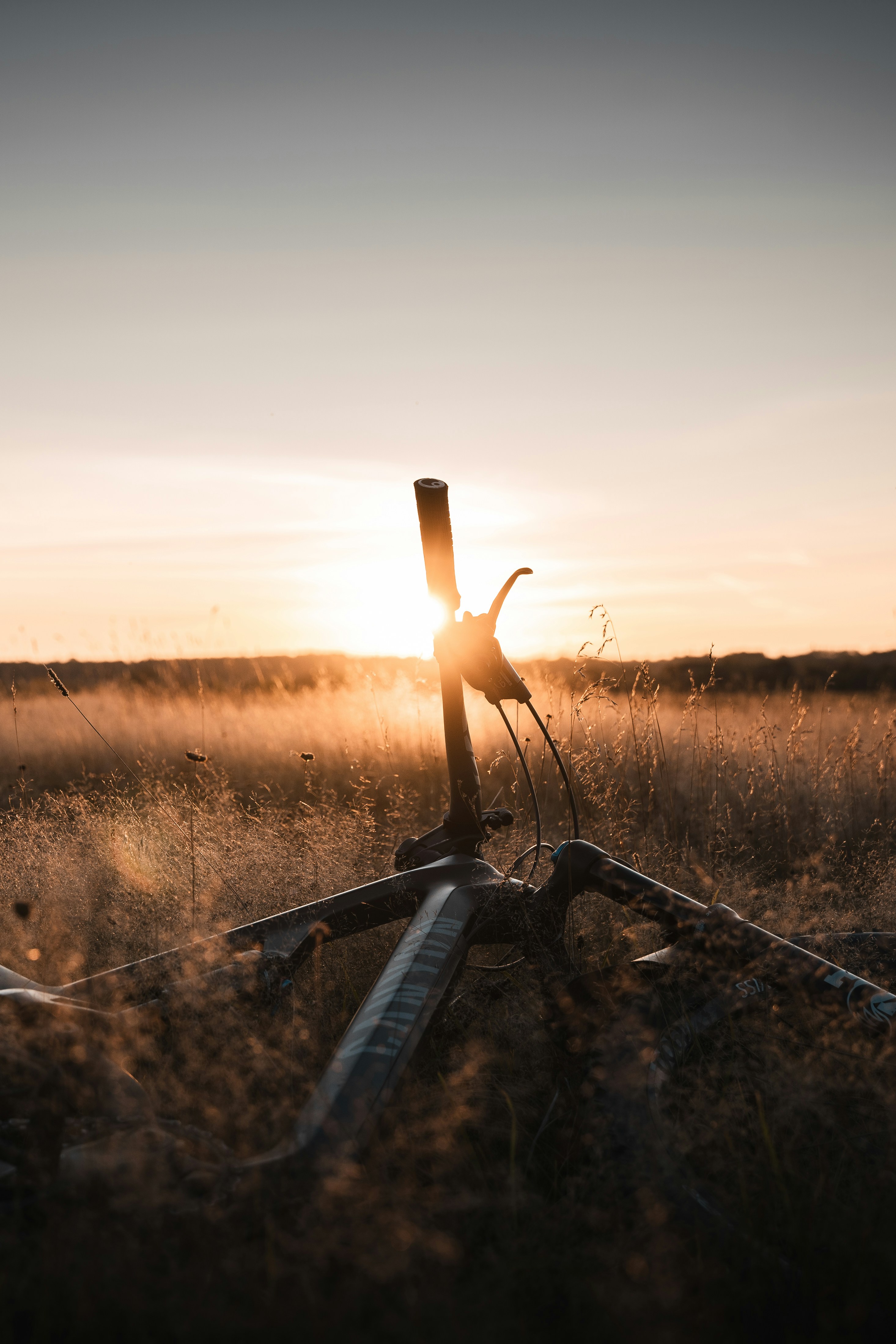 Le soleil se couche sur un champ d’herbes hautes photo – Image gratuite ...