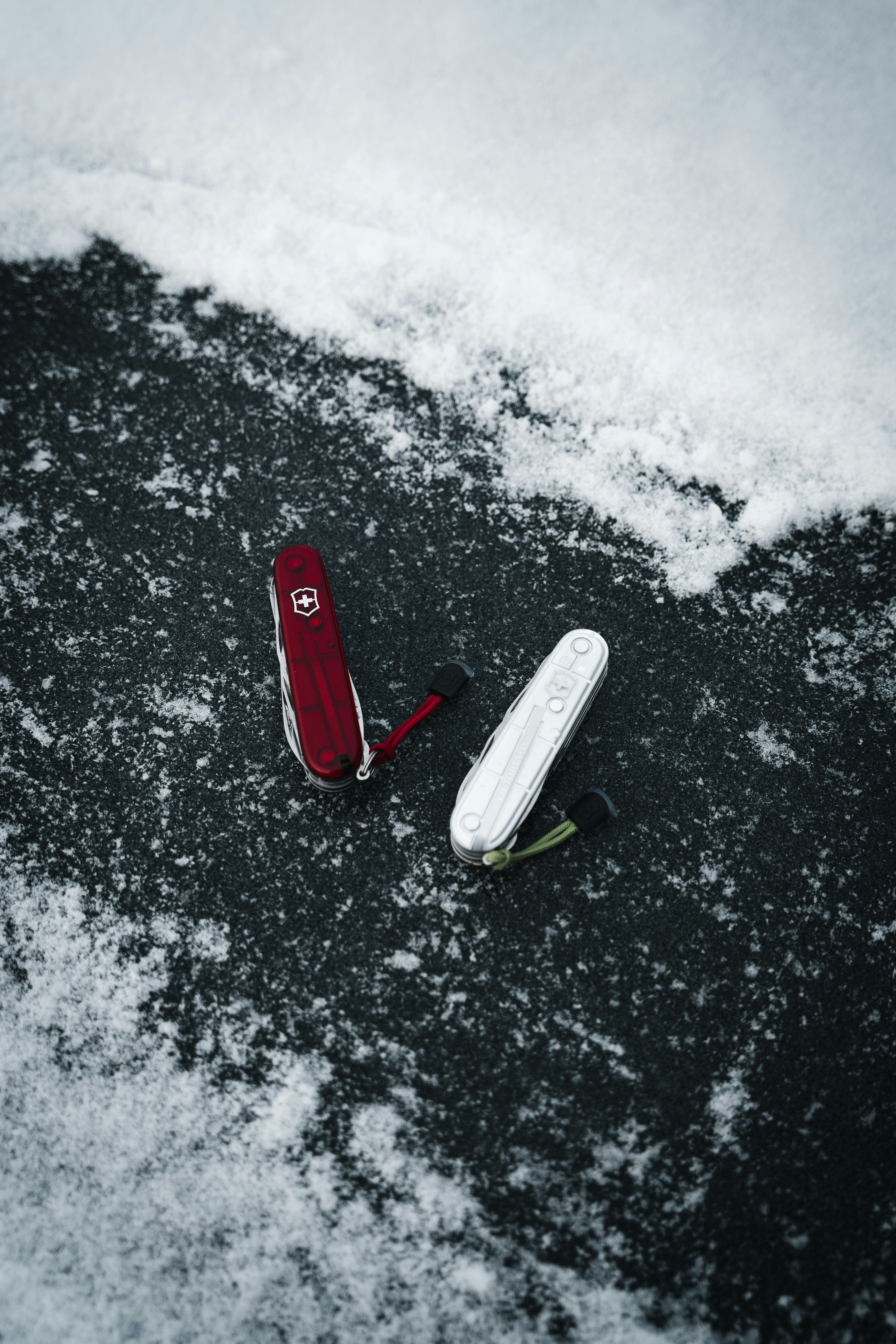 A snowboard laying on the ground in the snow photo – Free Belarus Image ...