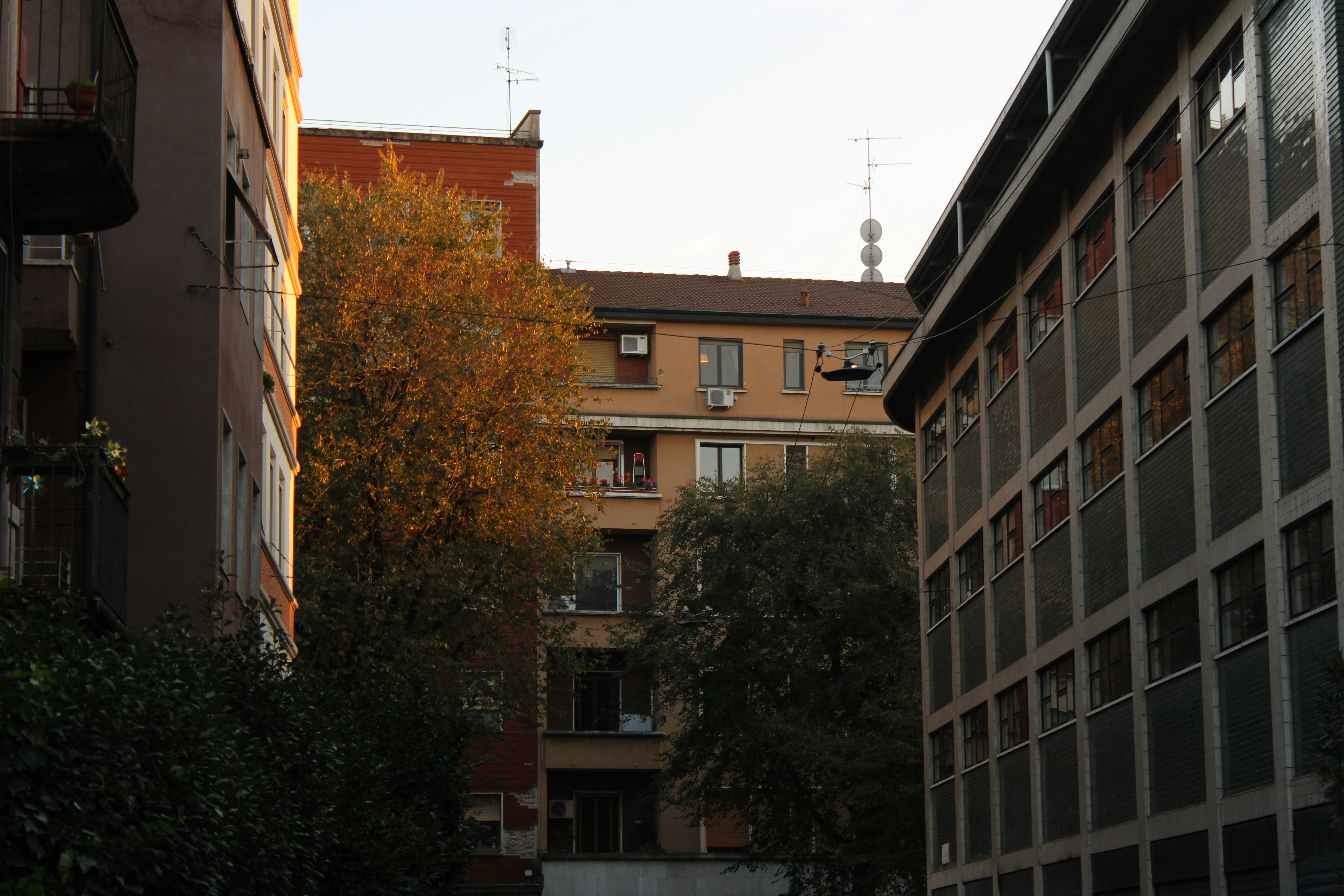 Autumn Light Framing a Quiet Urban Canyon