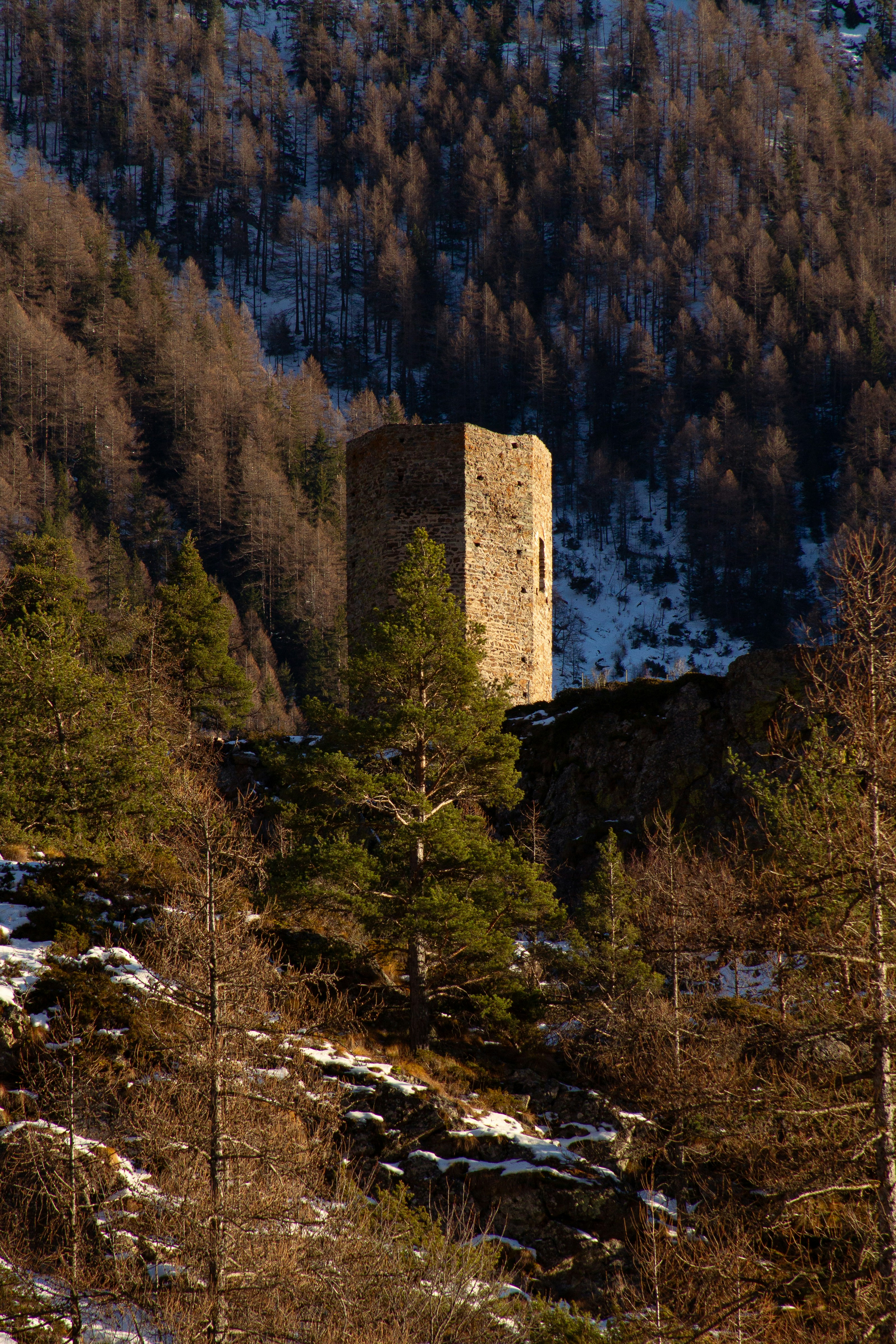 Photo by sandra congiu with Canon EOS 7D