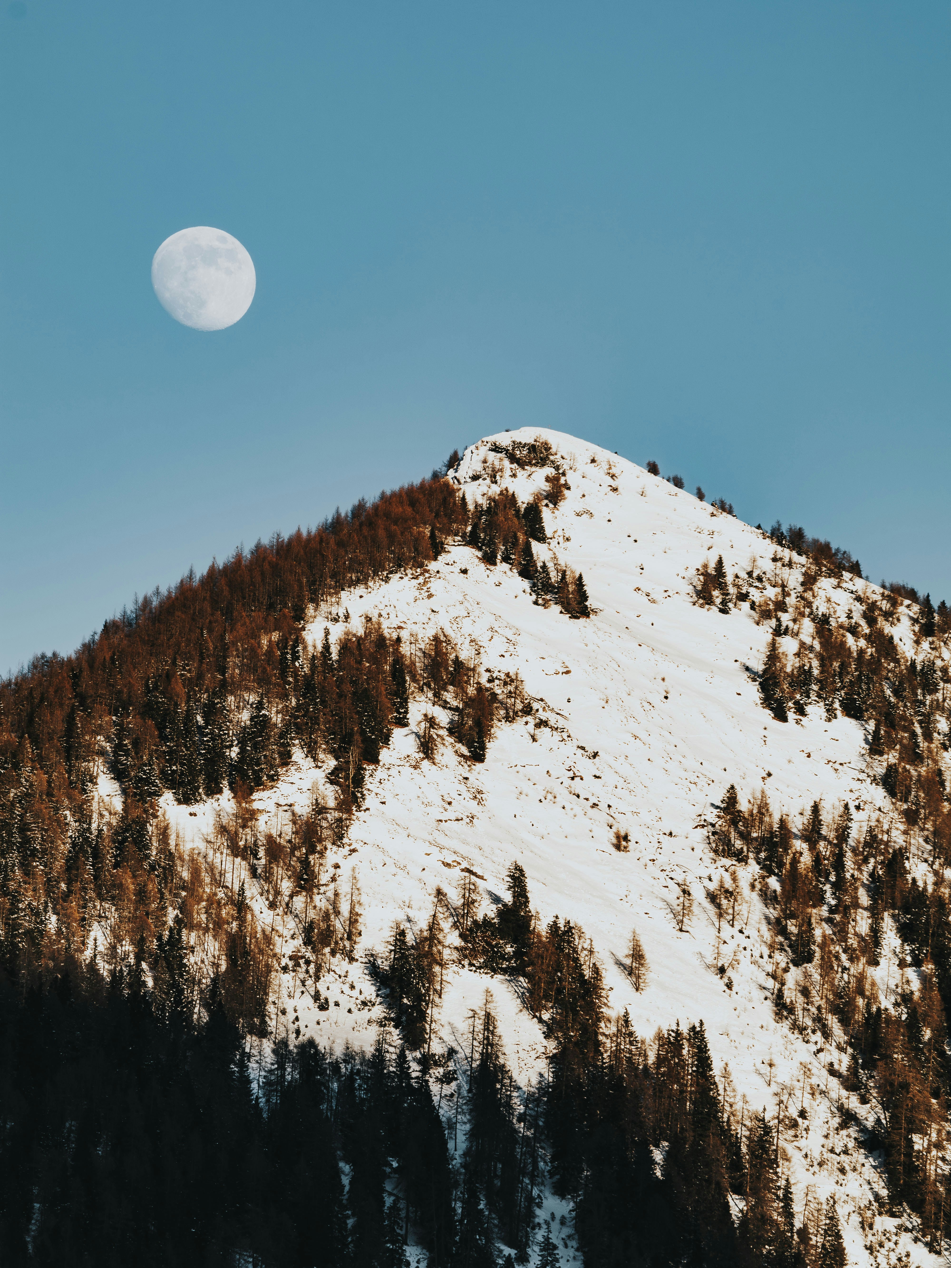 A full moon rising over a snowy mountain photo – Free Forest Image on ...