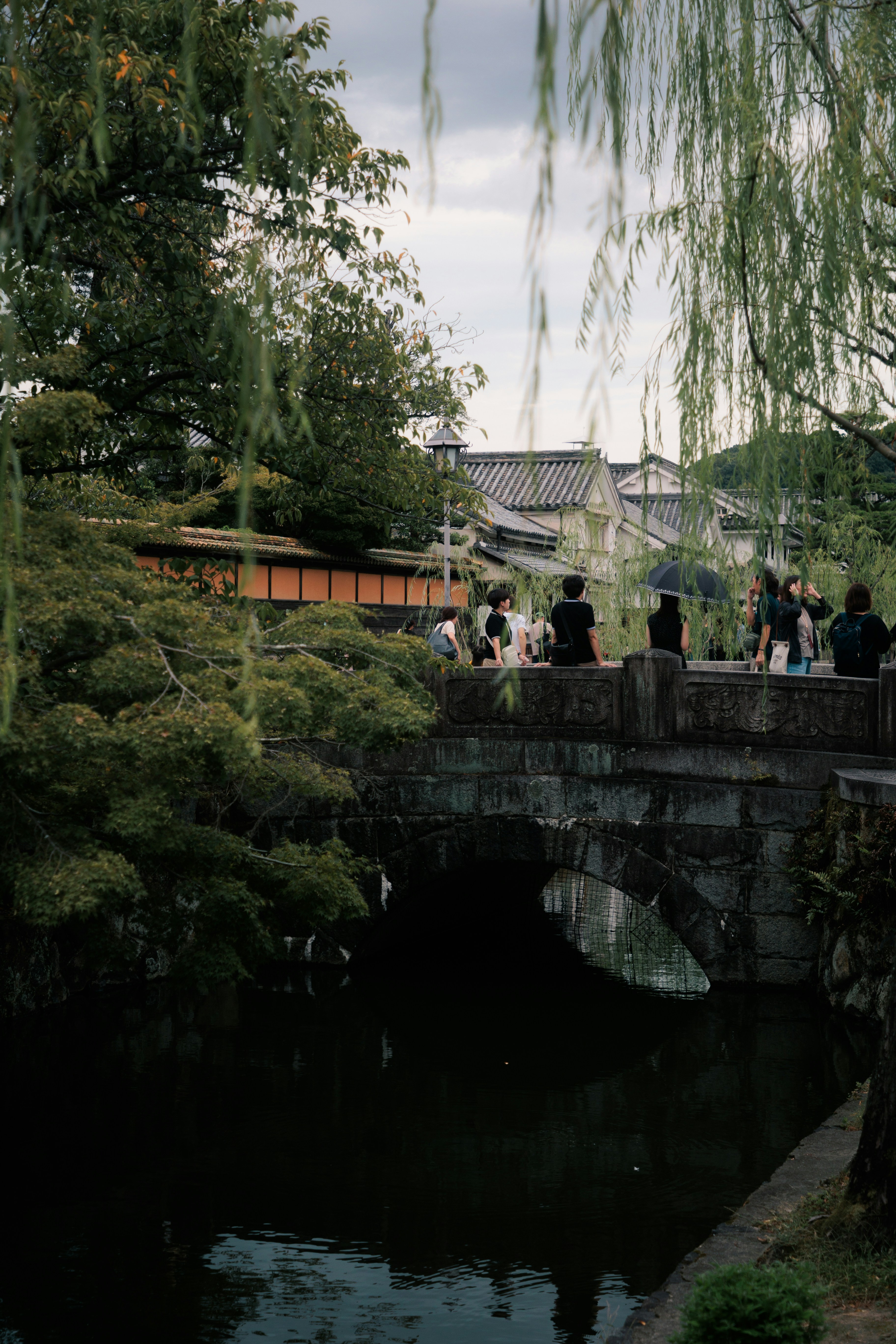 Crowd on a Weathered Stone Bridge Framed by Weeping Willows Over a Quiet Canal