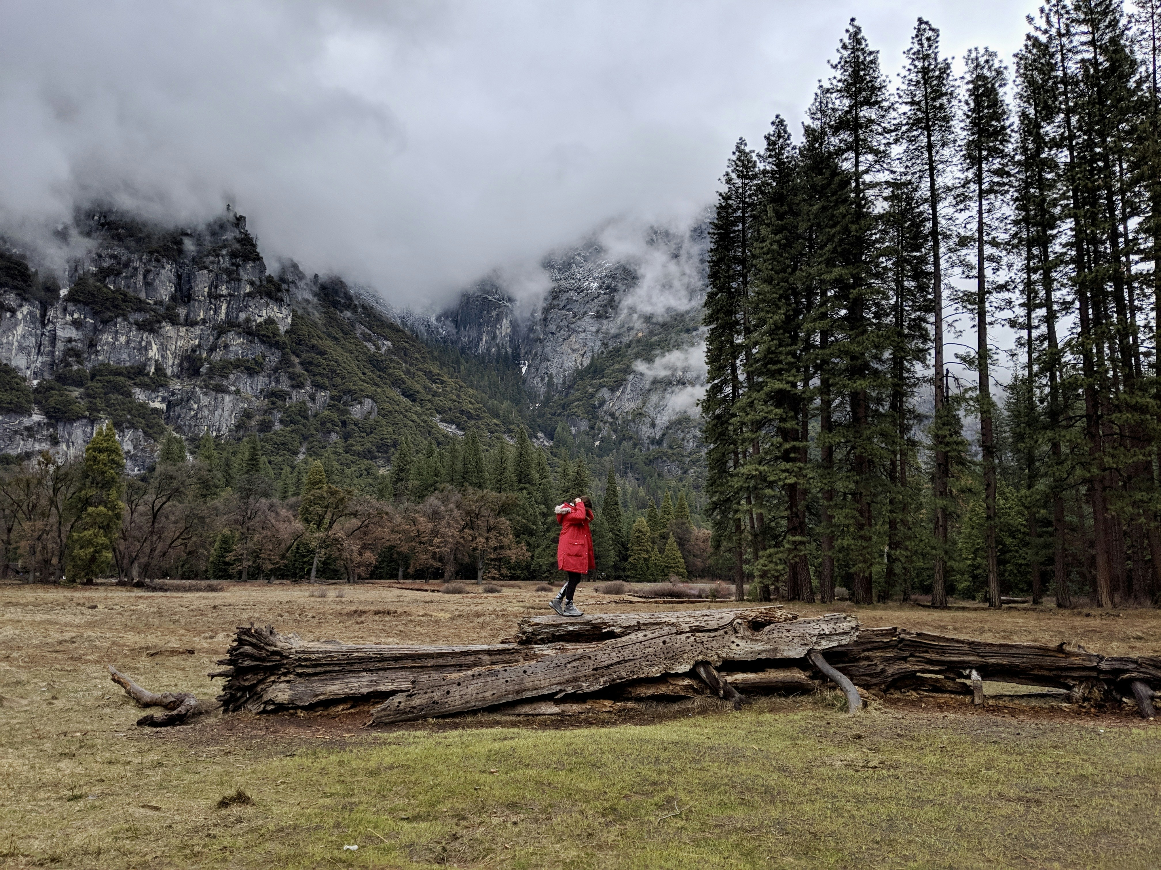 A person standing on a log in a field photo – Free Yosemite national ...