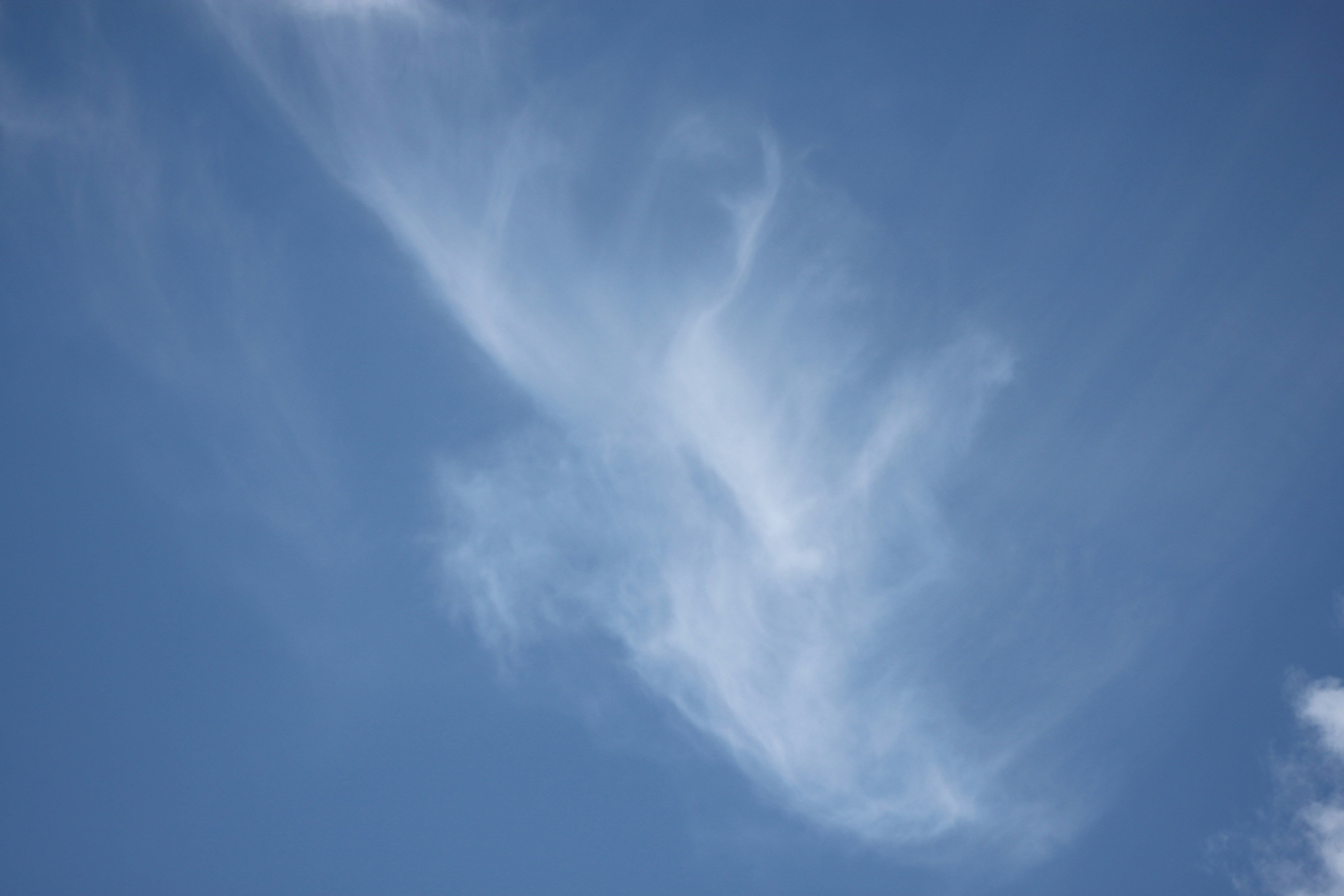 Cirrus Brushstroke Across a Quiet Noonday Sky