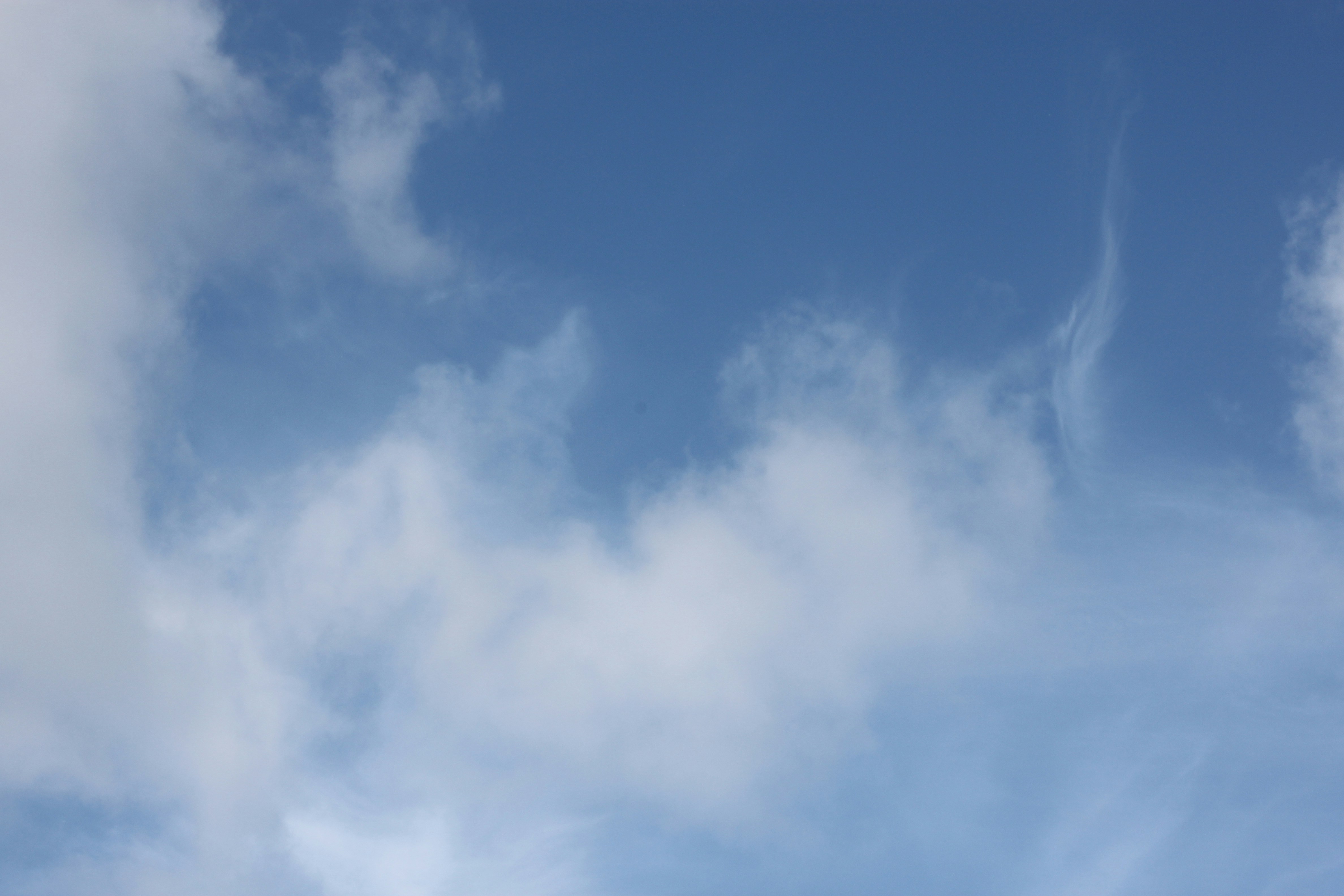 Photo by Ruby Lalor with Canon EOS 500D