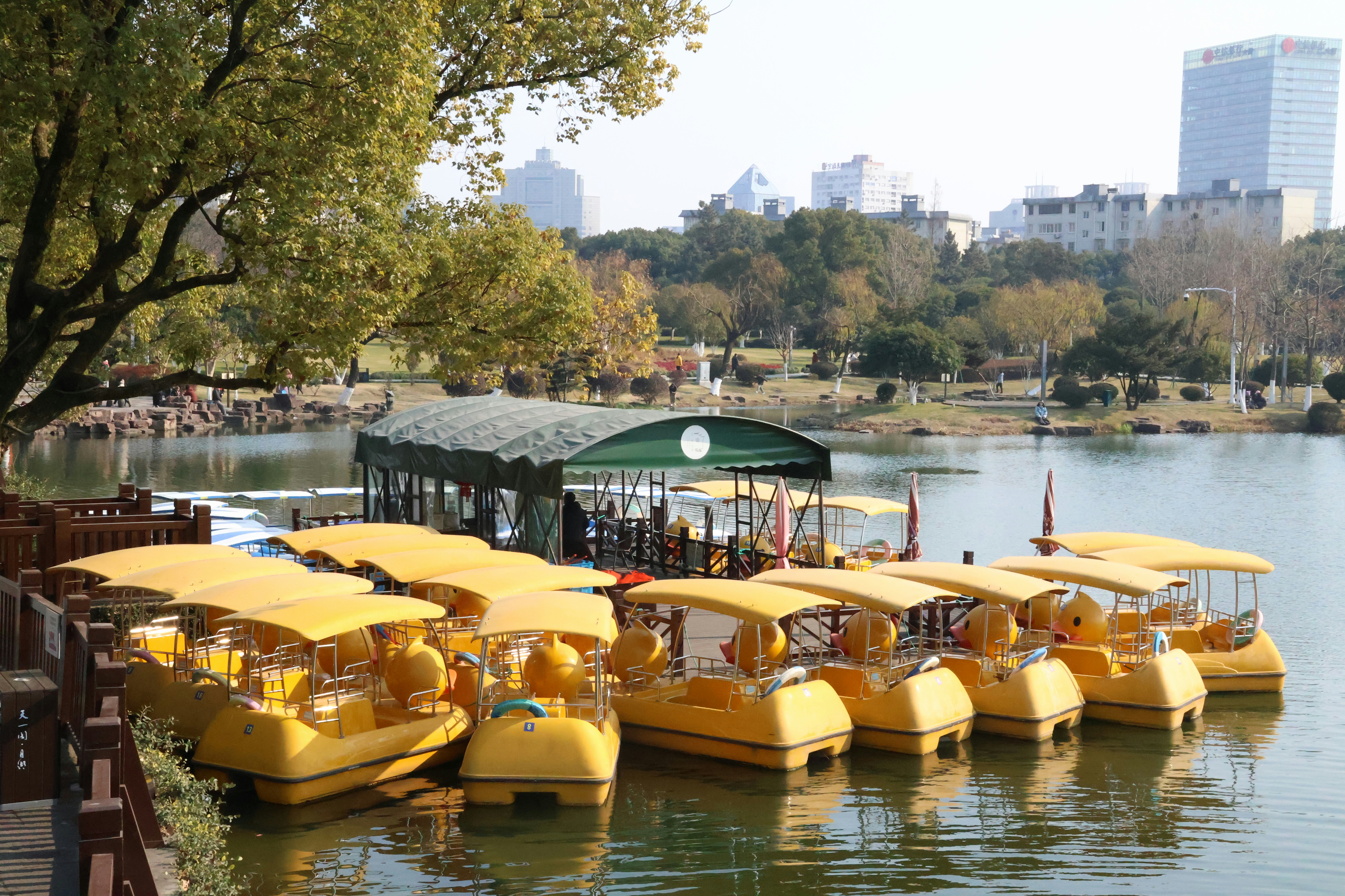 Sunlit Yellow Fleet at the Quiet Riverside Lake
