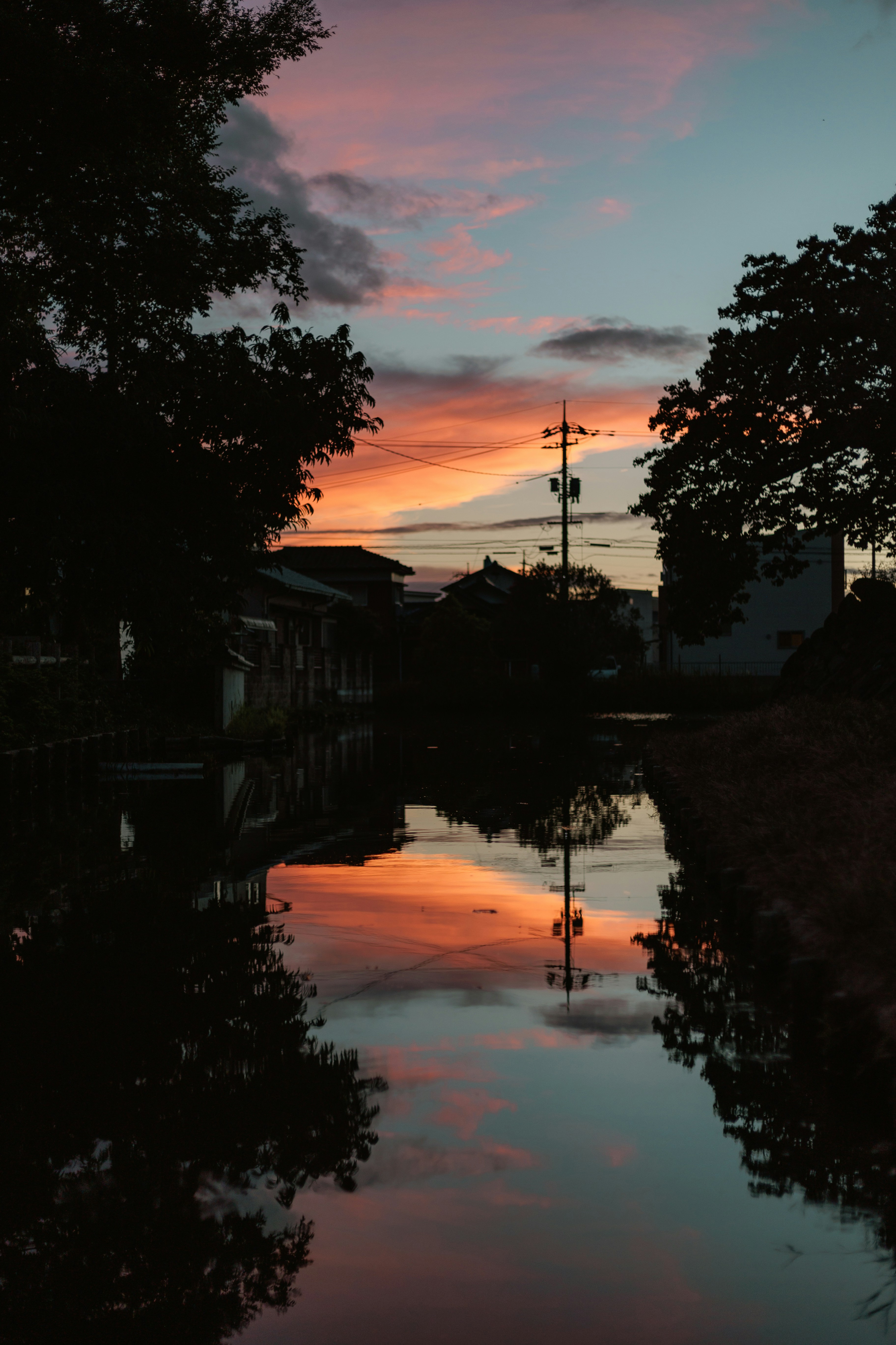 Photo by Gaku Suyama with Canon EOS R6