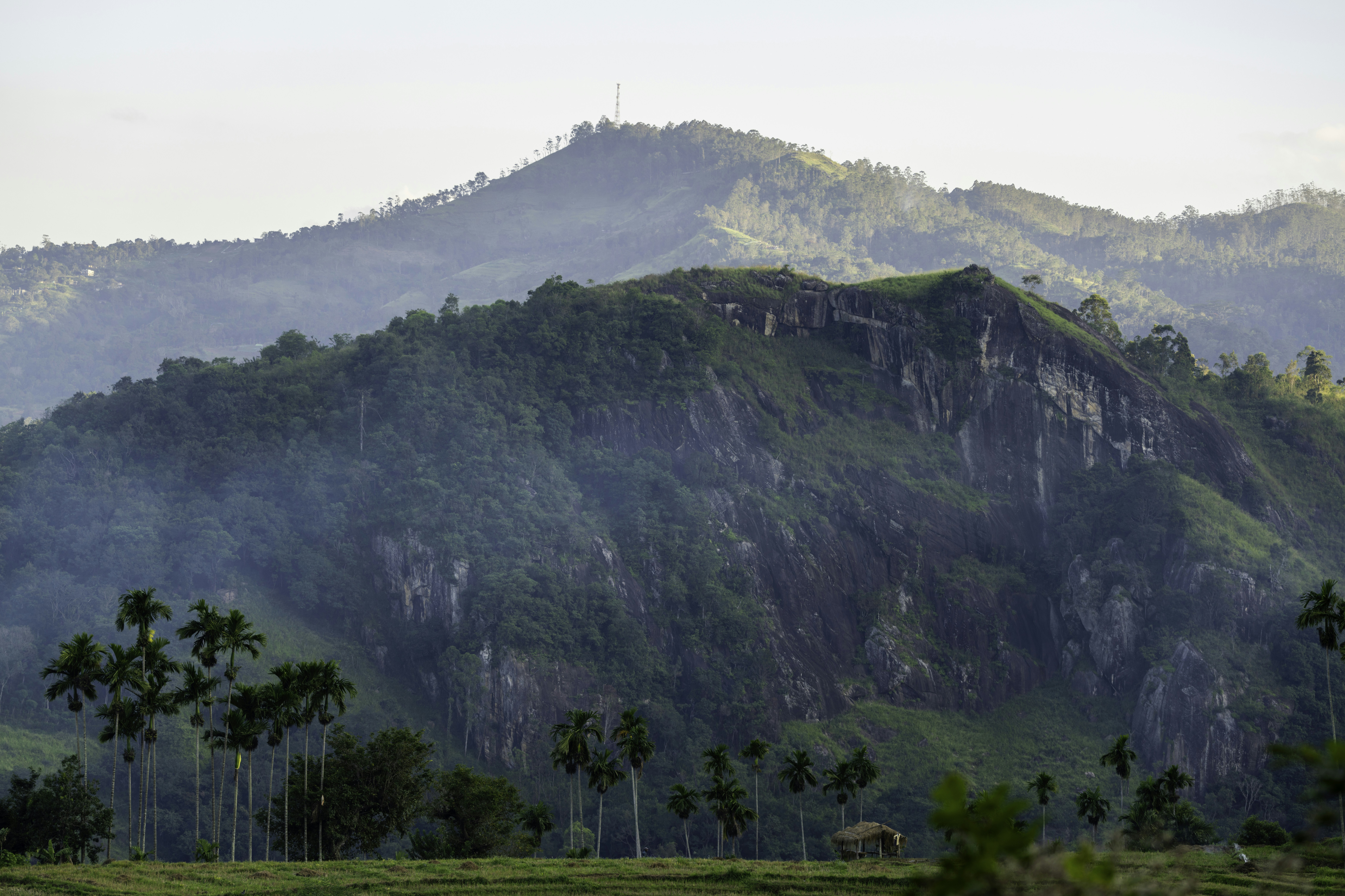 Whispers of the Highlands: A Serene Mountain Vista
