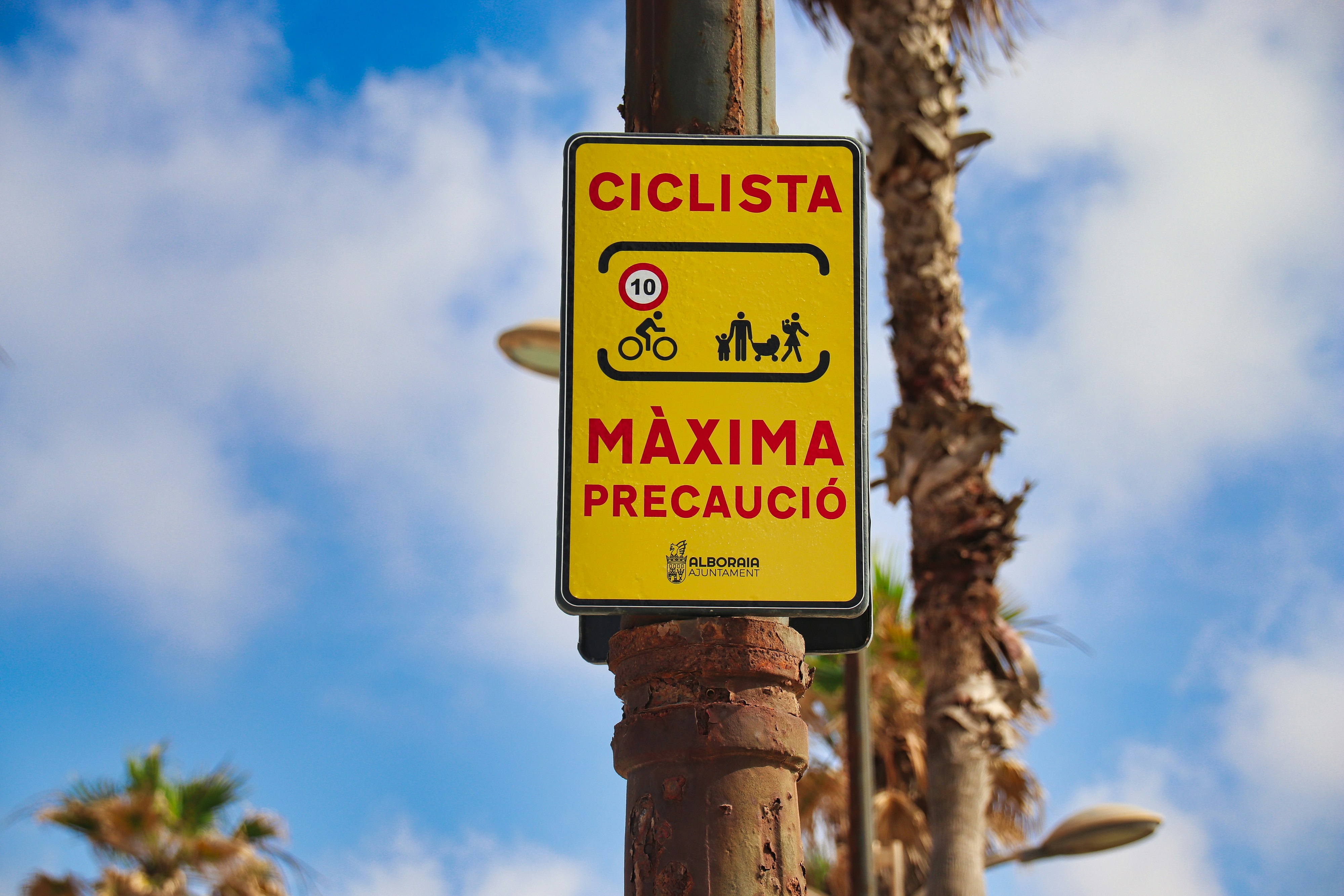 Vibrant Caution: Cyclist Alert on Valencia's Coast