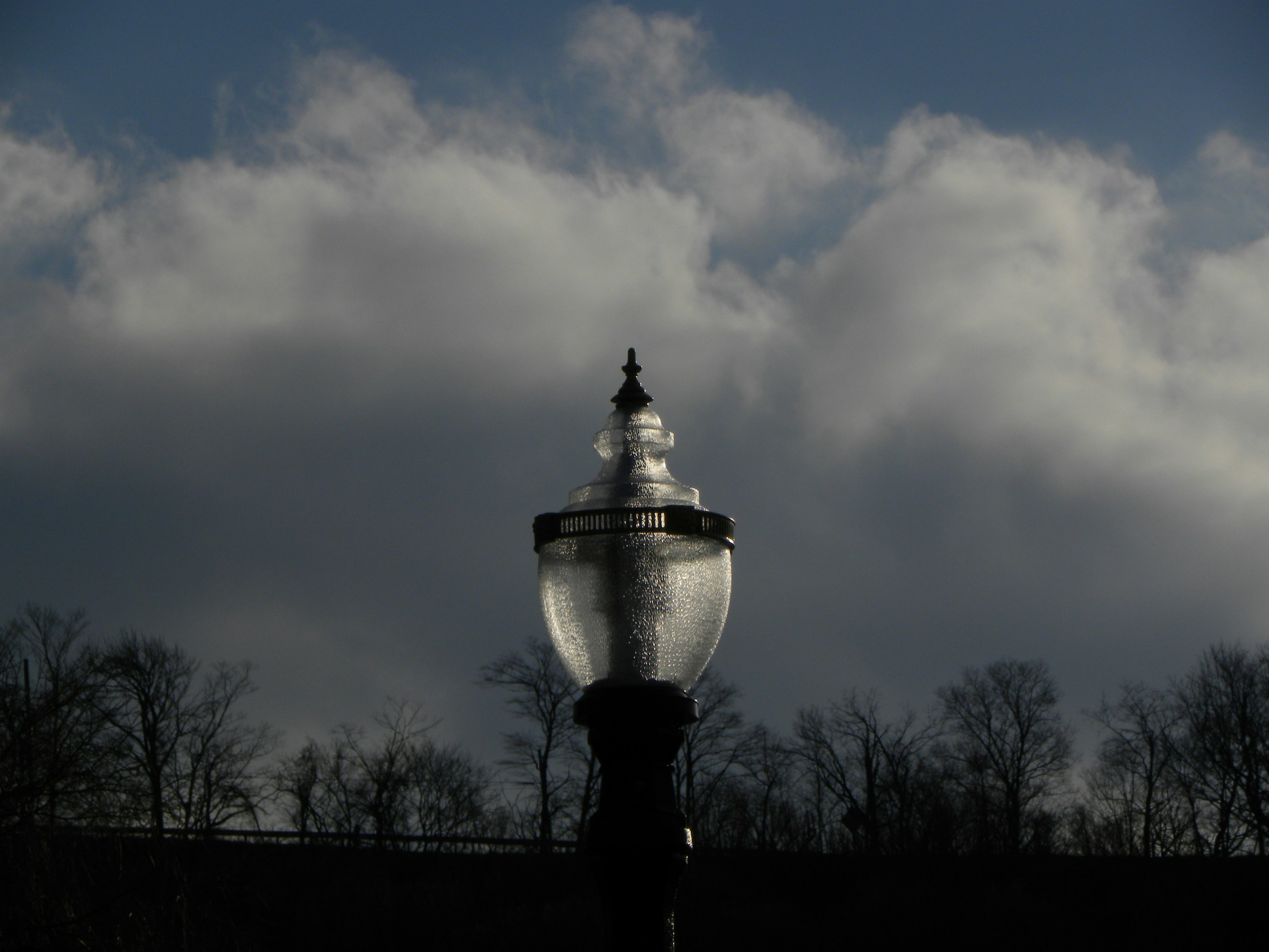 Noctilucent Lantern: A Lone Lamp Amid Silent Vines