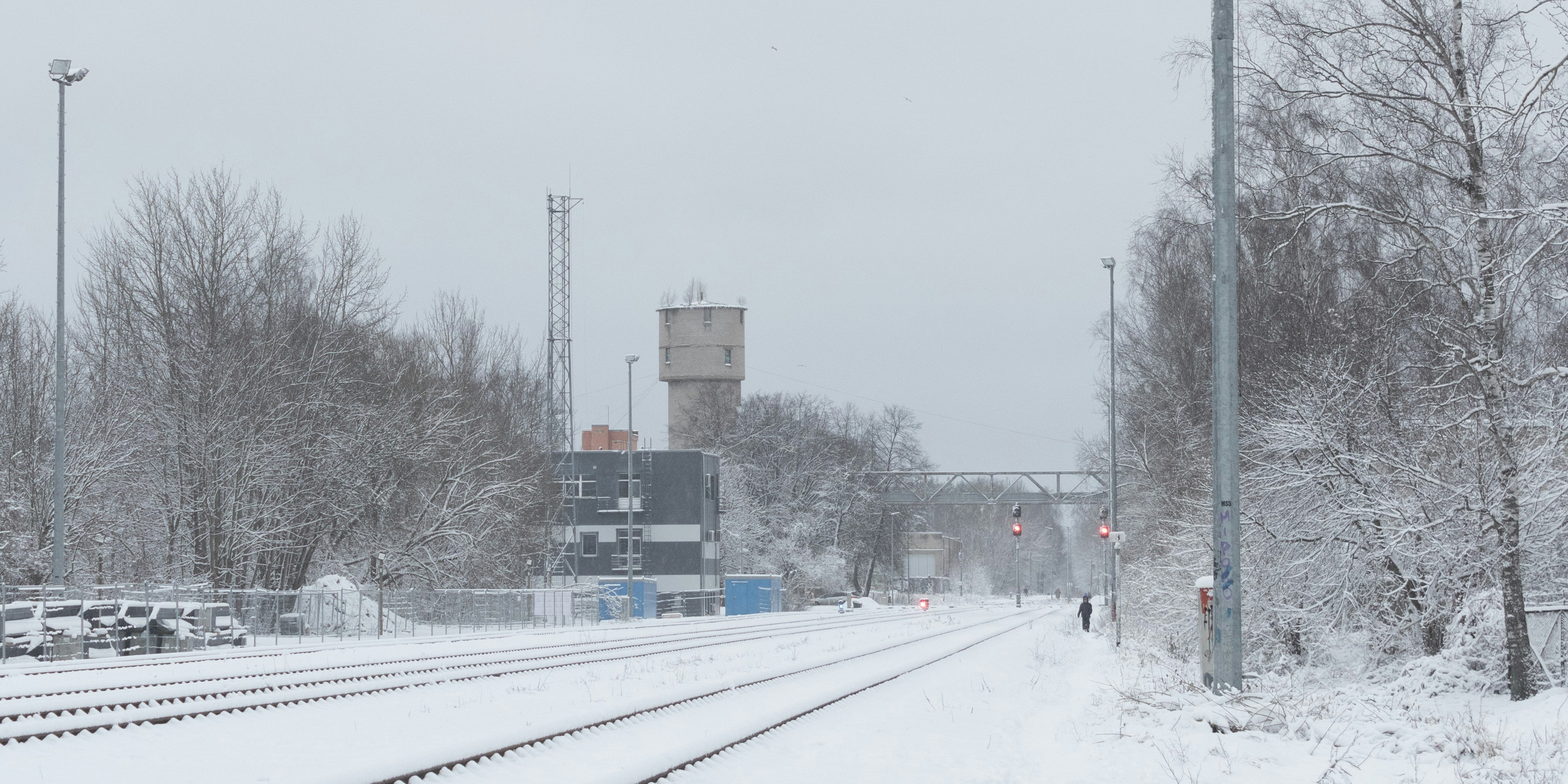 Red Signals on Snowbound Rails: A Quiet Winter Horizon