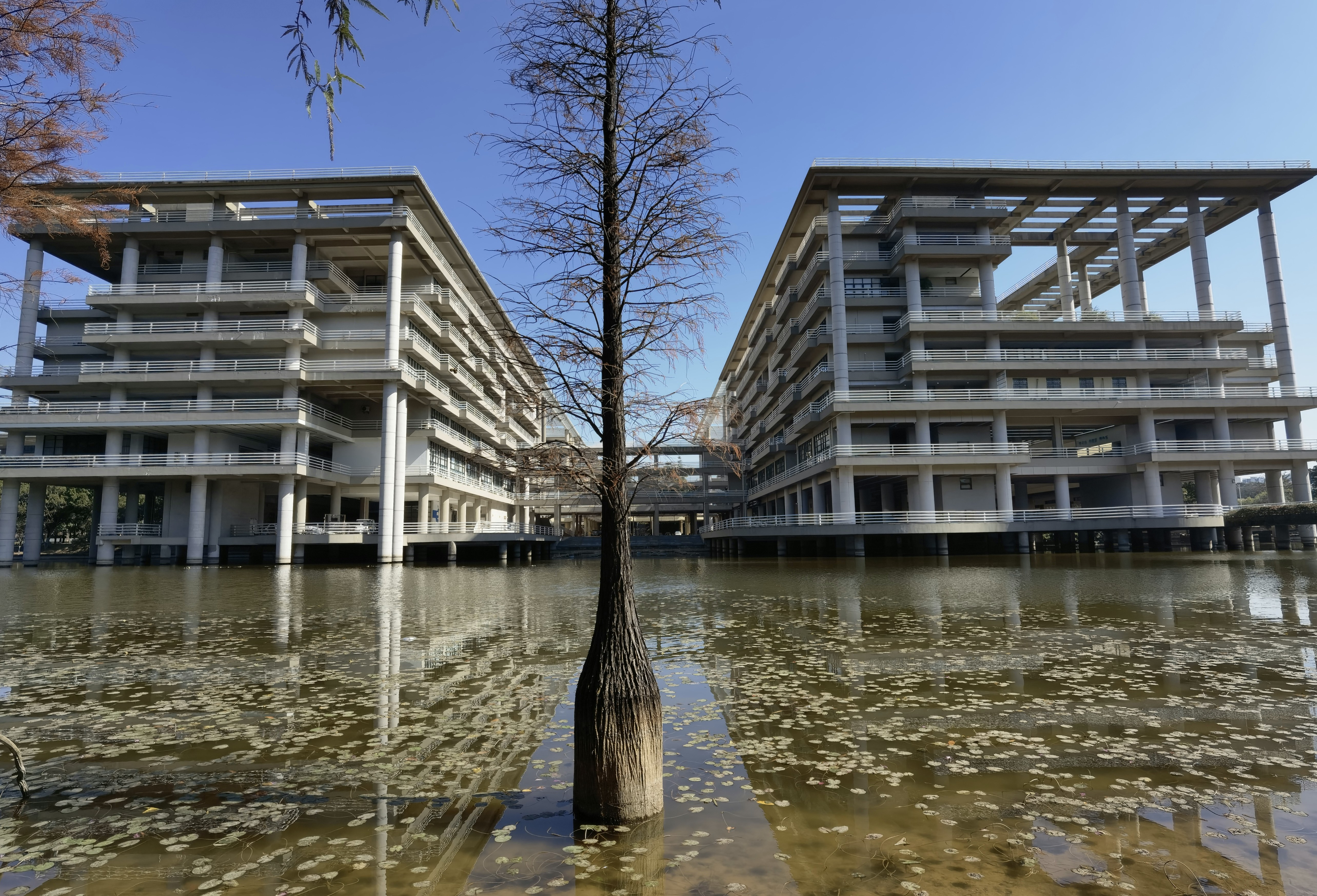 Un gran edificio asentado junto a un cuerpo de agua foto – Imagen de ...