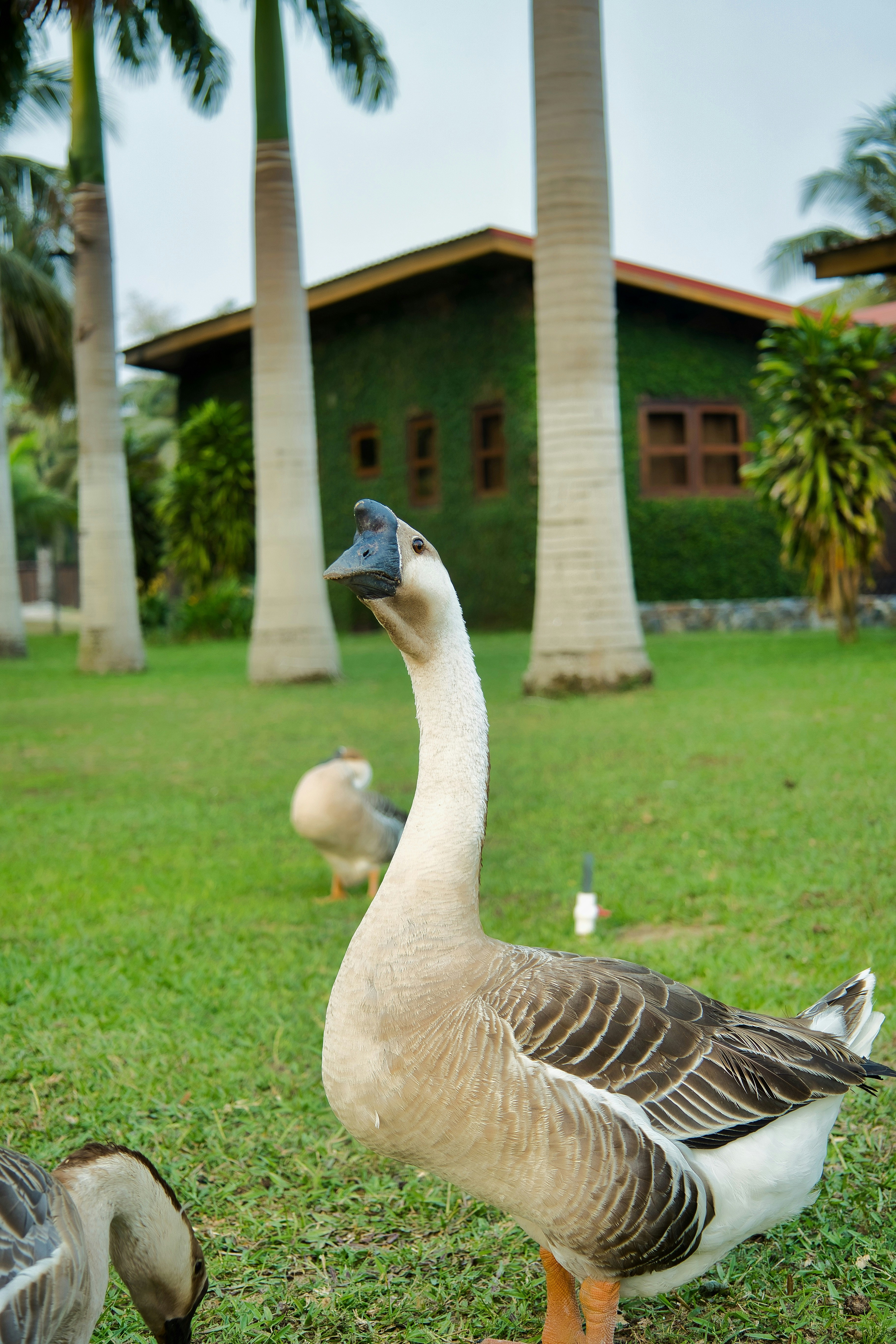 Photo by Oswald Elsaboath with Canon EOS R6