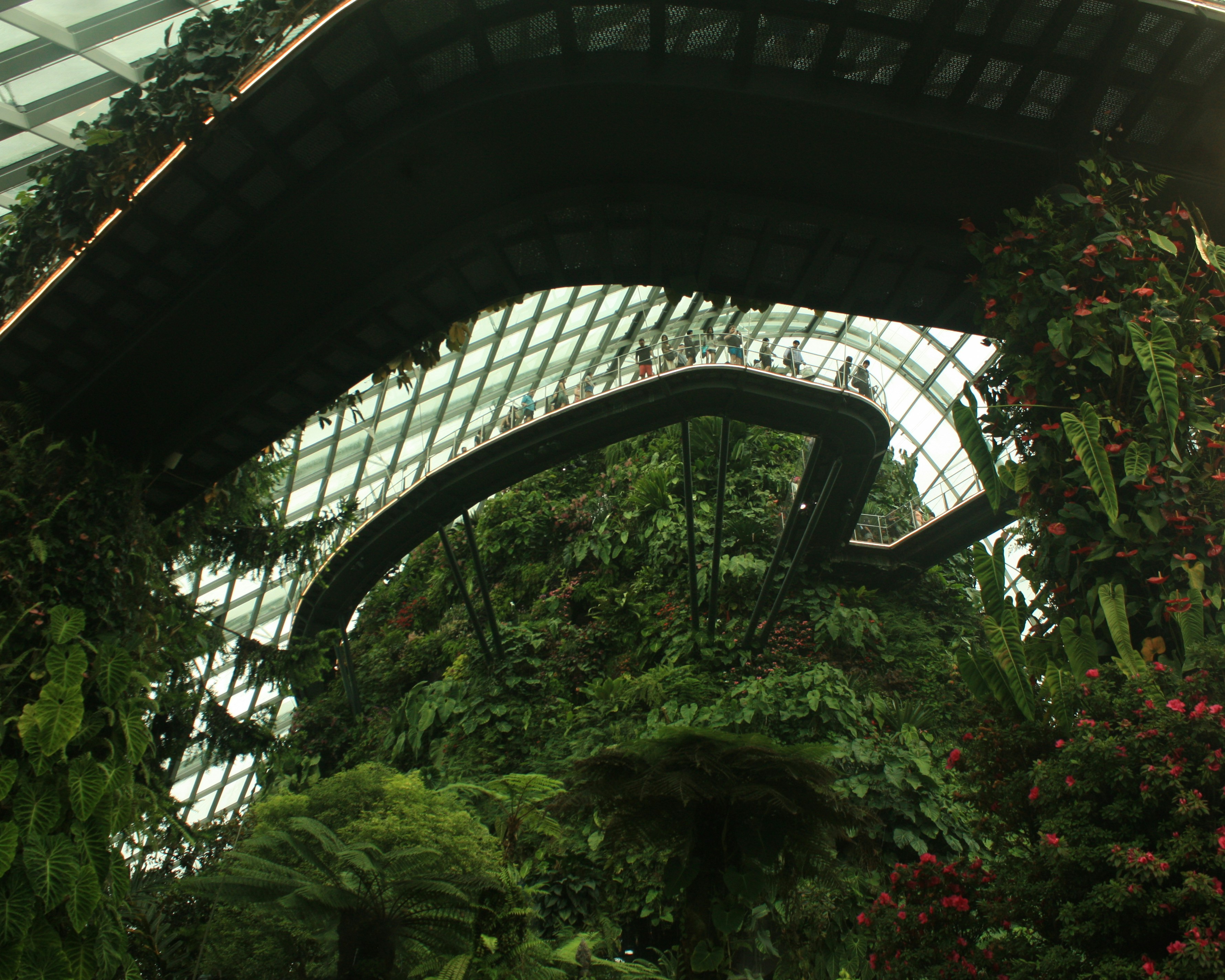 Photo by Aditya Hegde with Canon EOS 450D